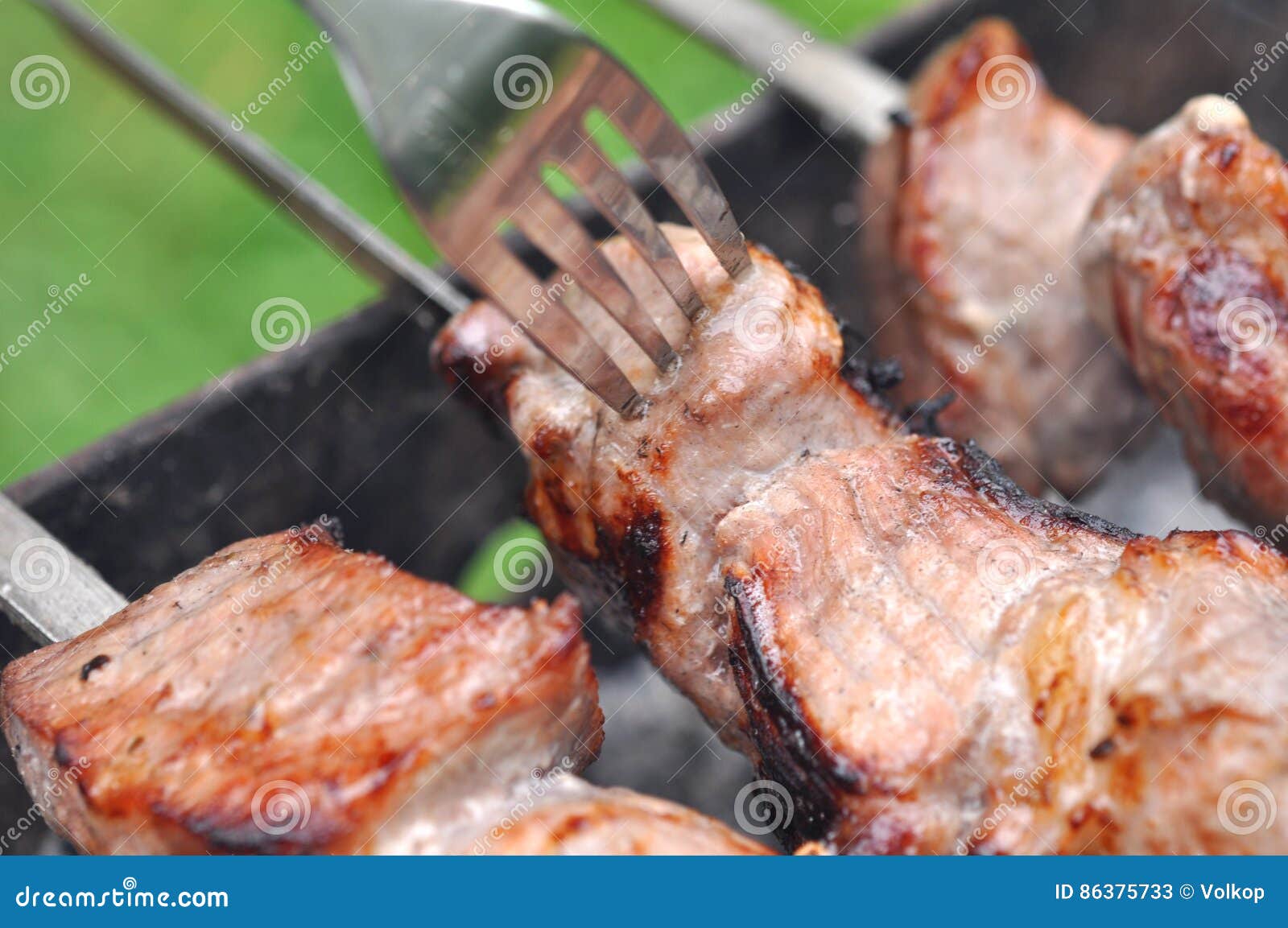 Barbecue Beef Meat Kebabs and Fork Stock Image - Image of cooking ...