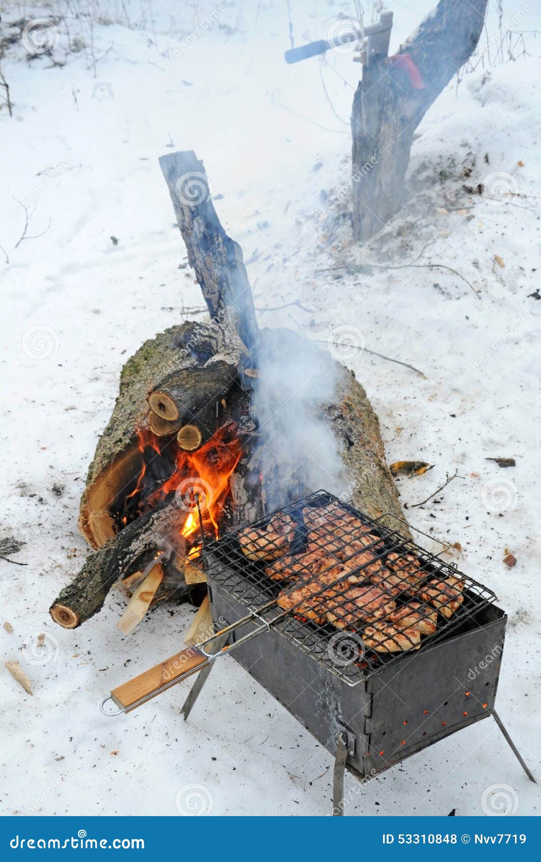 Barbecue and bonfire stock photo. Image of cooking, forest - 53310848