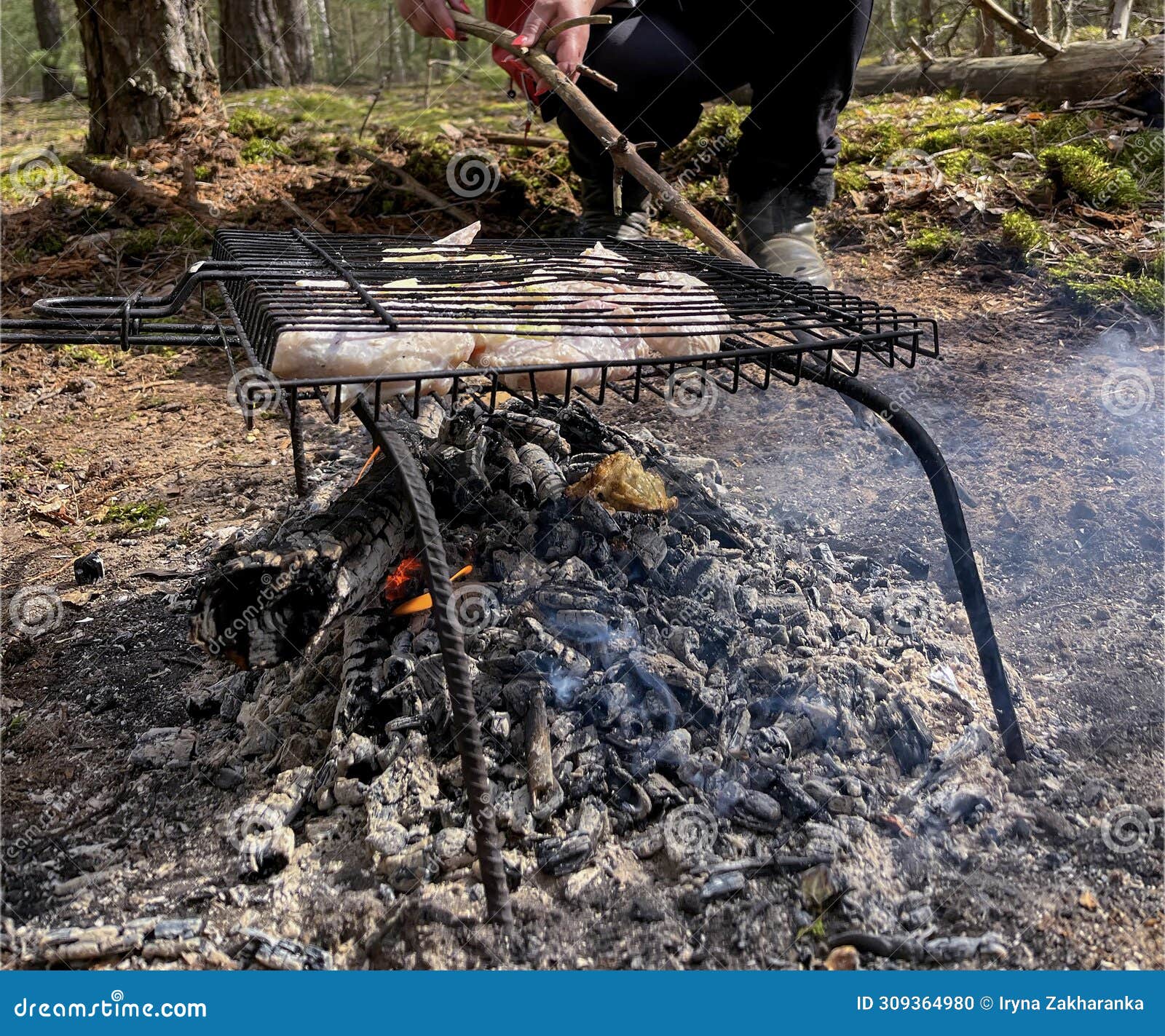 A Barbecue Campfire is Built in the Forest Stock Photo - Image of color ...