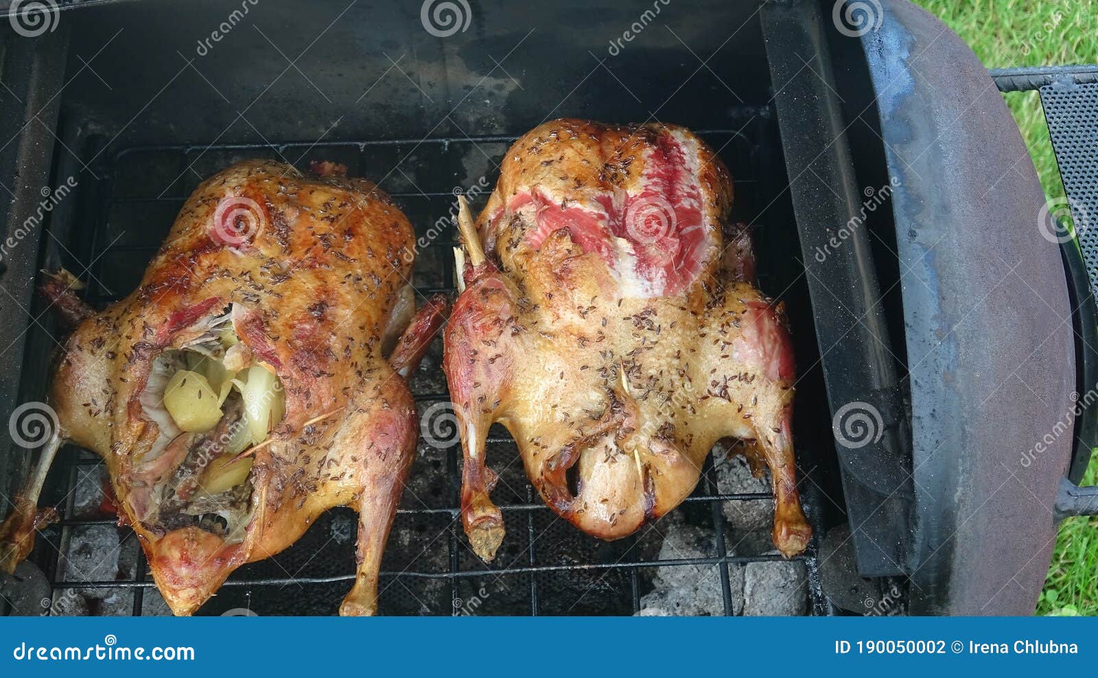 Barbecue Canard De Griller Faisant Cuire Les Aliments Photo stock ...