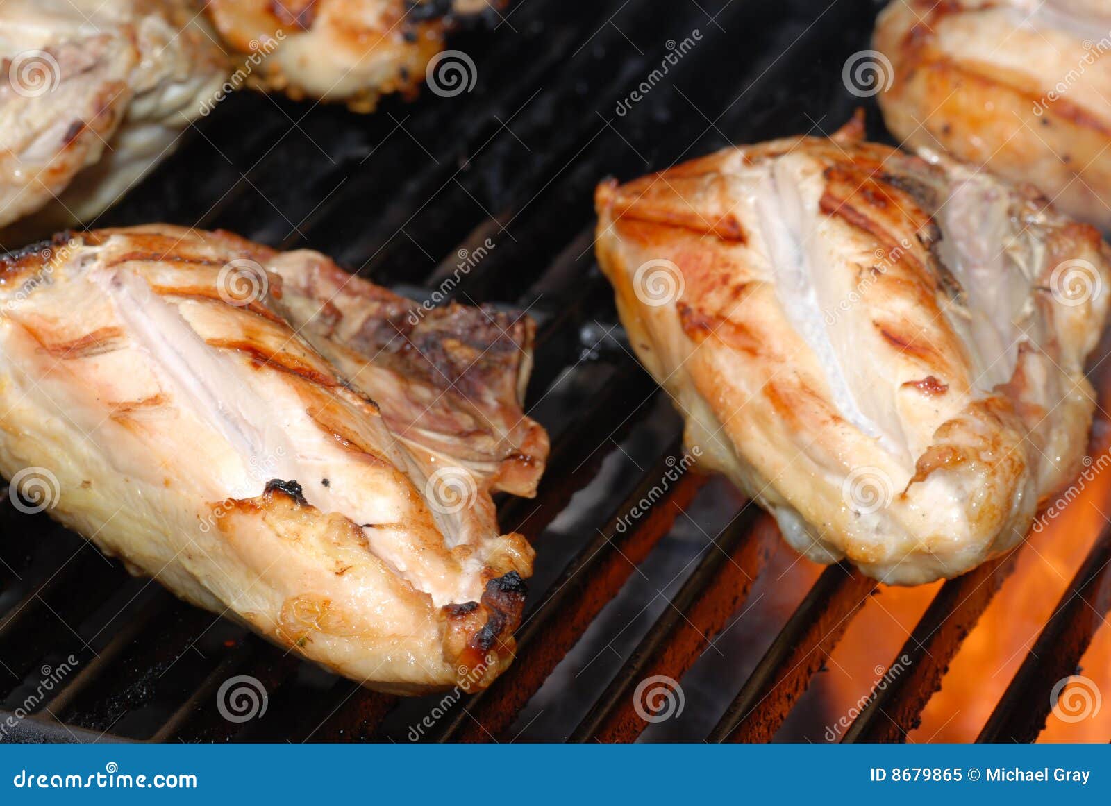 Barbecue Chicken on a Grill Stock Image - Image of closeup, cooked: 8679865