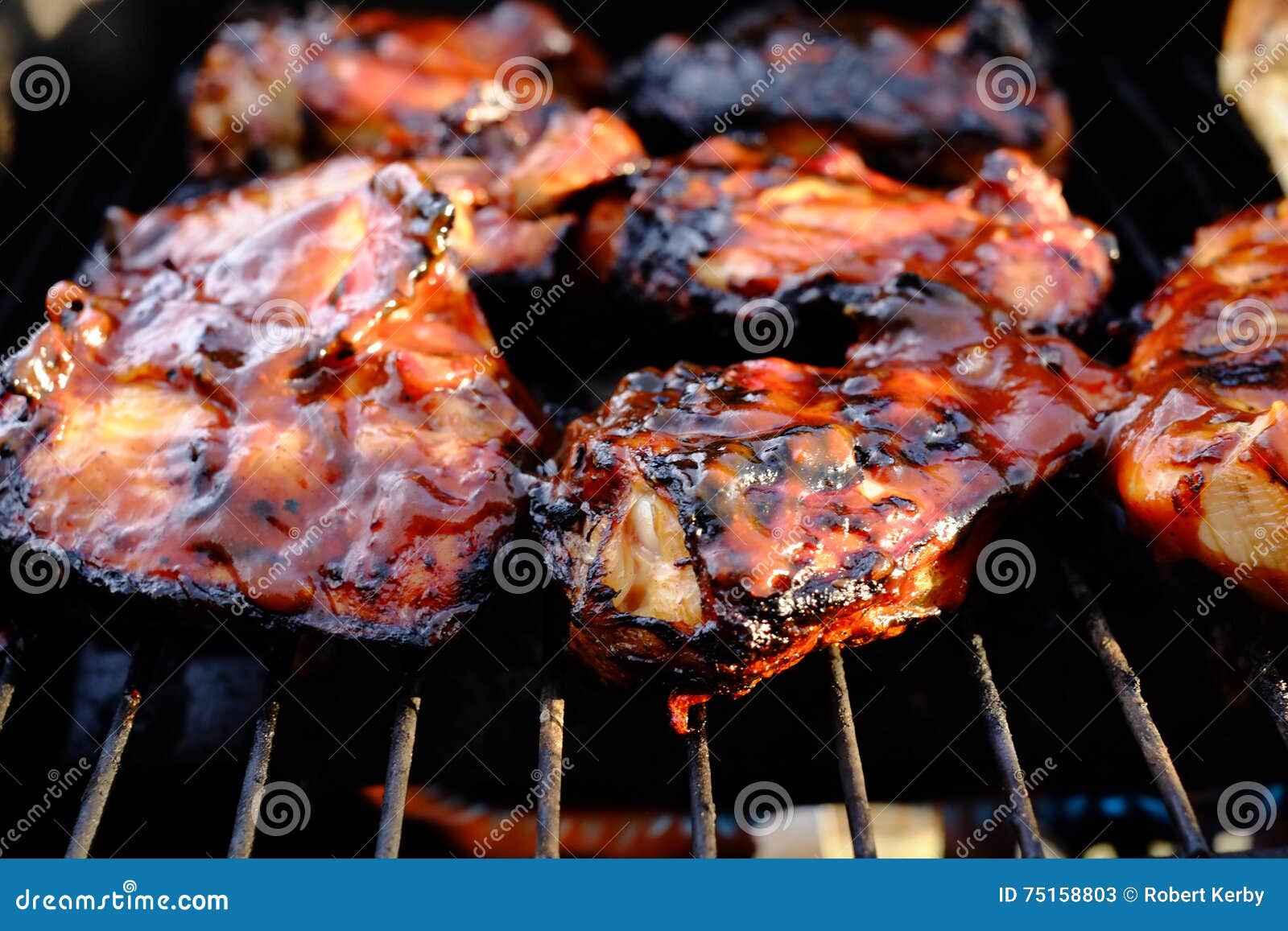 Barbecue chicken on grill stock image. Image of picnic - 75158803