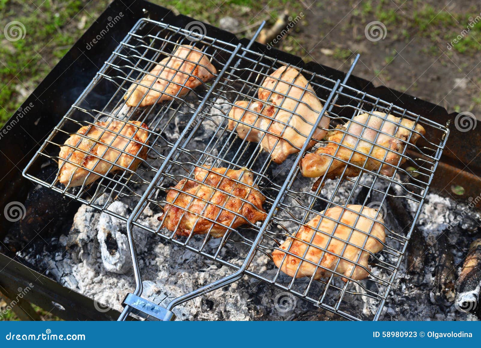 Barbecue Chicken Over an Open Fire in Summer Stock Image - Image of ...