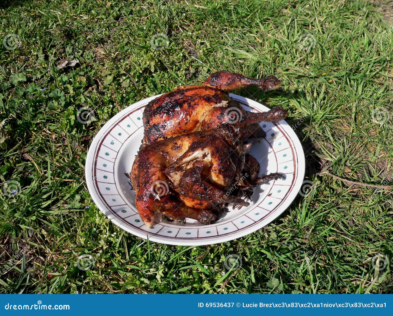 Barbecue chicken stock image. Image of cook, cooking - 69536437