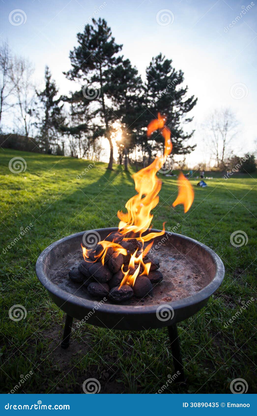 Barbecue fire stock image. Image of abstract, grilling - 30890435