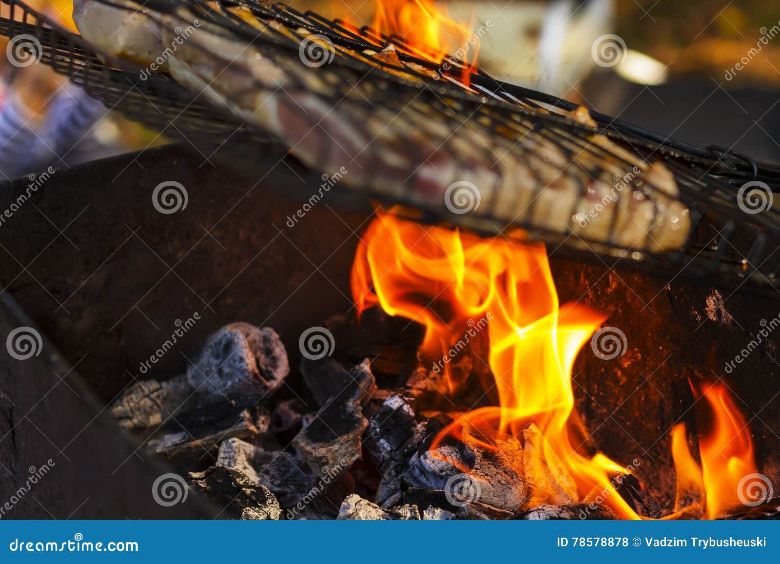 Barbecue on the fire stock photo. Image of focus, grilling - 78578878