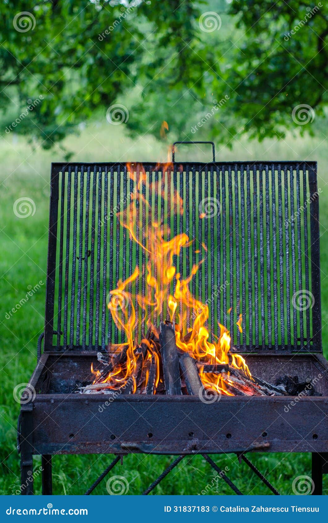 Barbecue fire stock image. Image of fire, wooden, cooking - 31837183