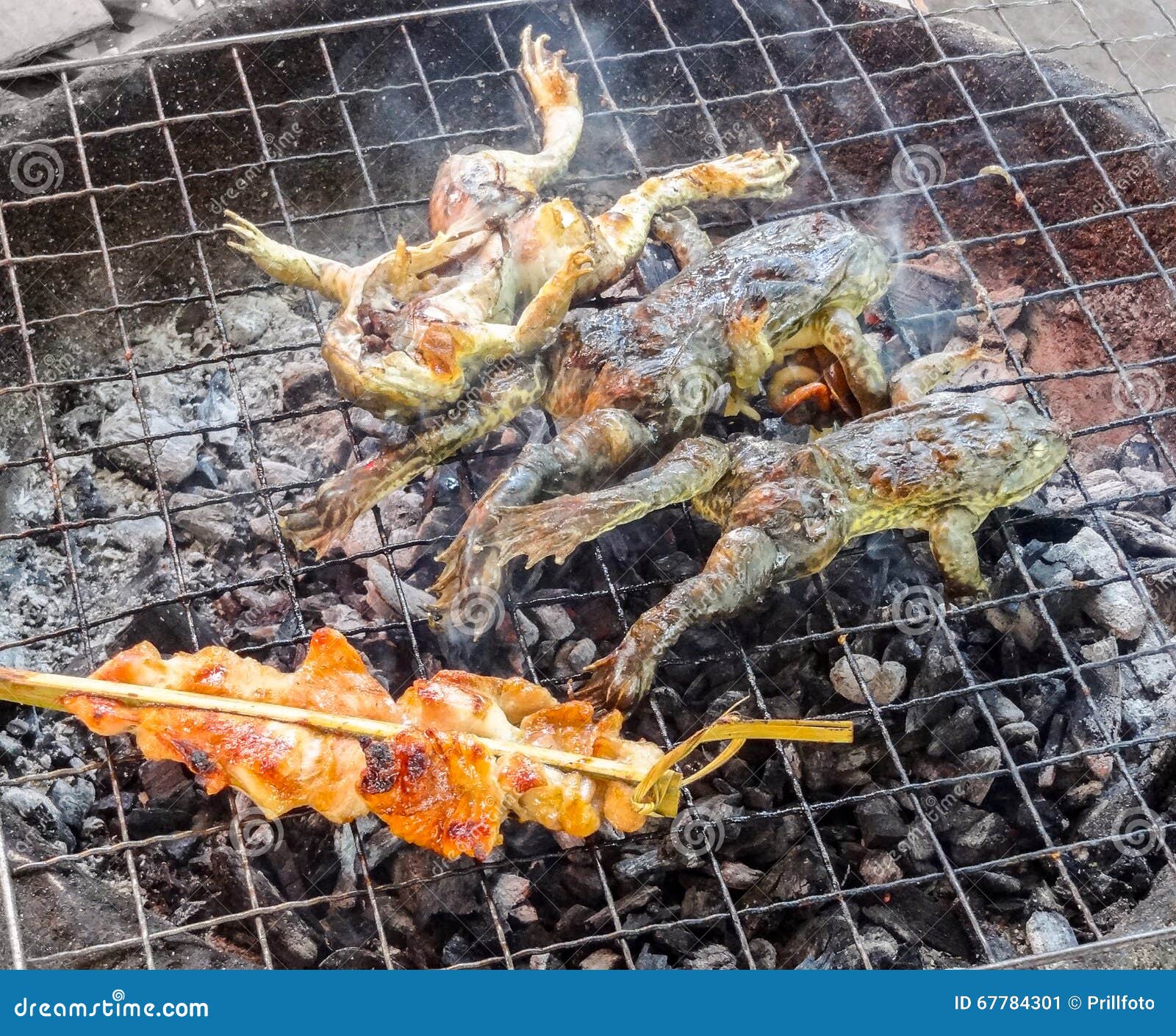 Barbecue with frogs stock image. Image of preparing, amphibian - 67784301
