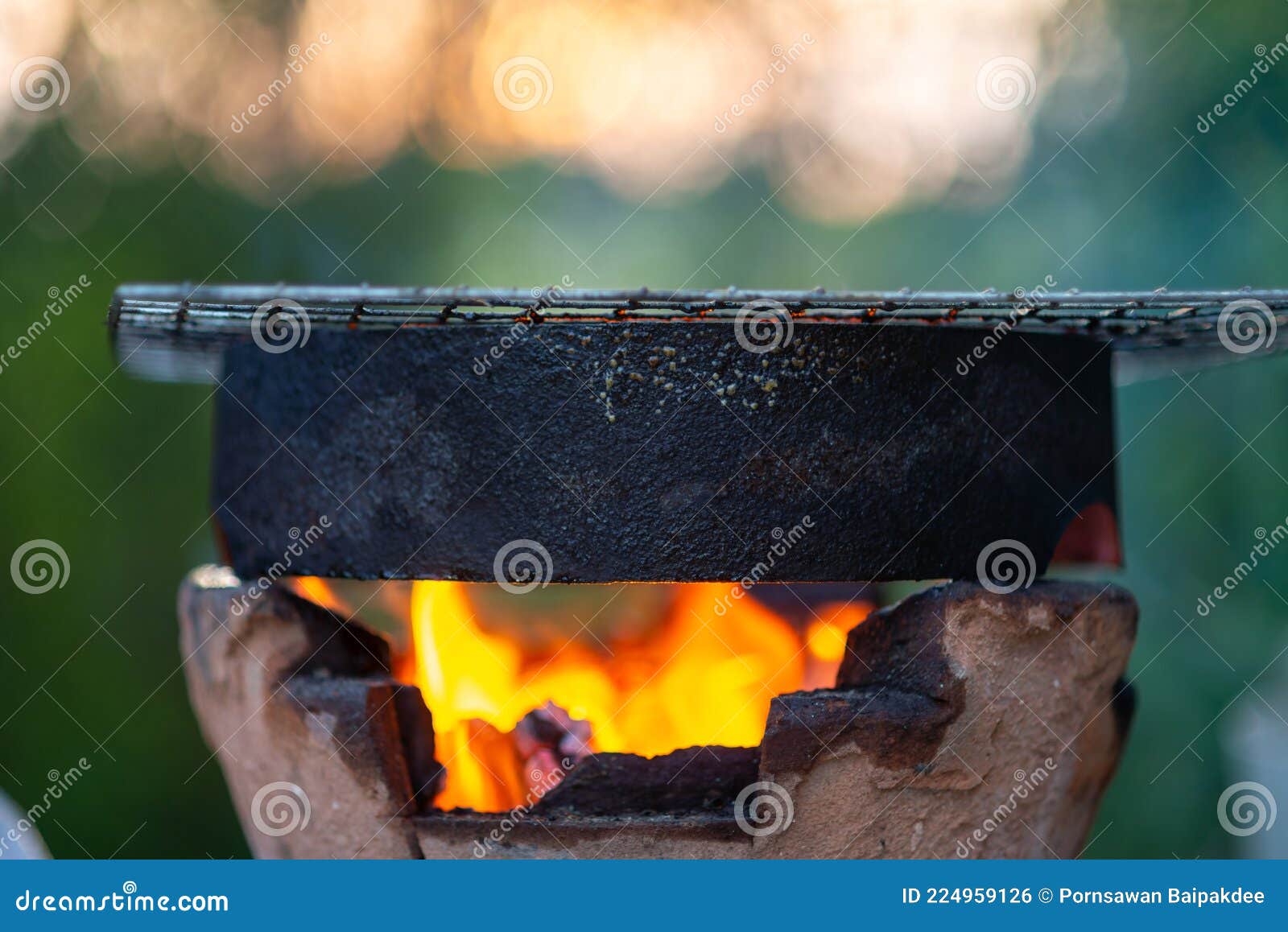 Barbecue Grill on Charcoal Turtle, Stock Photo - Image of meat, flame ...
