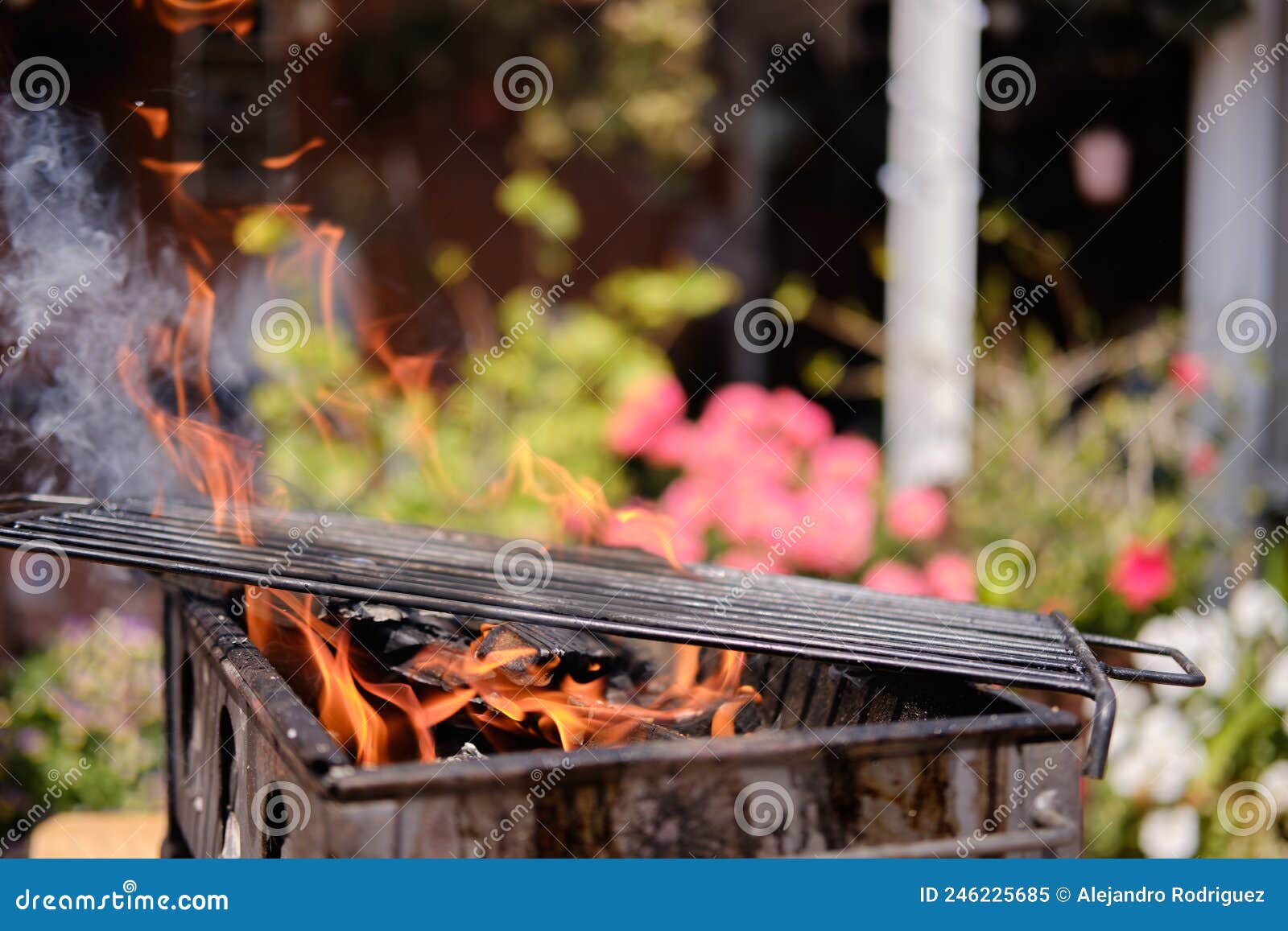 Barbecue Grill with Fire on Open Air. Detail of Fire Flames Stock Image ...