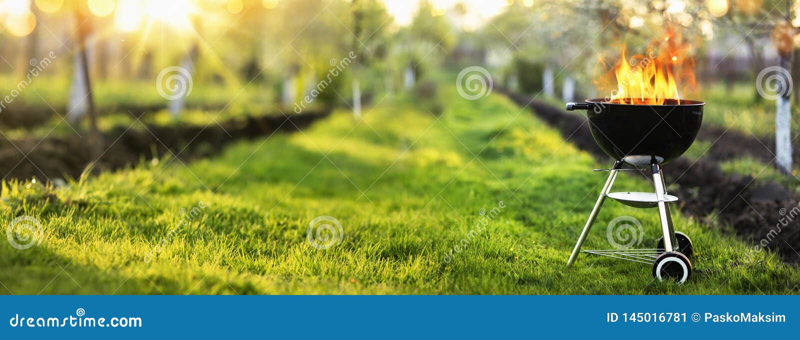 Barbecue Grill in the Open Air Stock Image - Image of grass, barbecue ...
