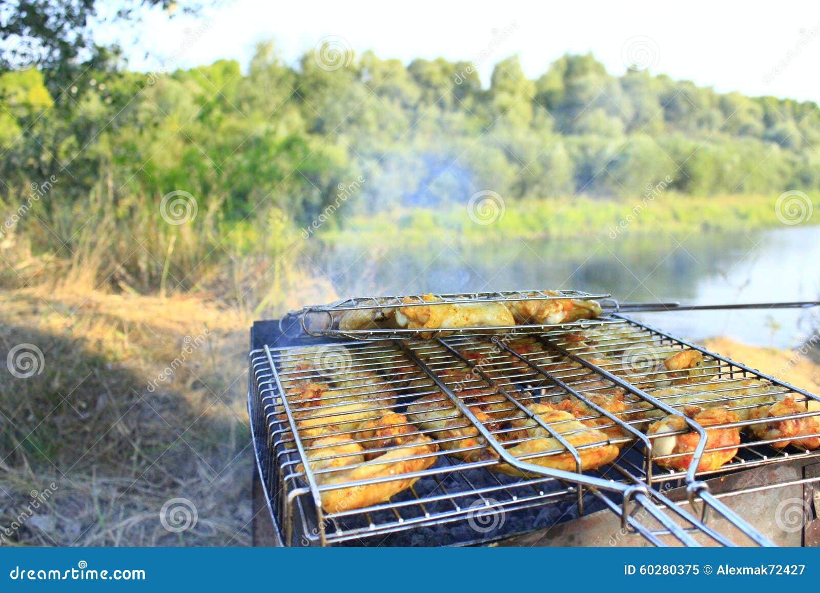 Barbecue from Hen S Meat Cooked in the Nature Stock Image - Image of ...