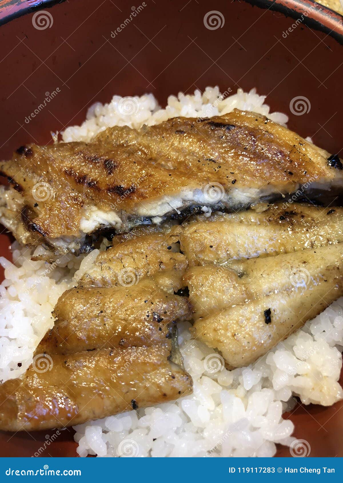 Japanese Eel rice stock image. Image of barbecue, delicious - 119117283