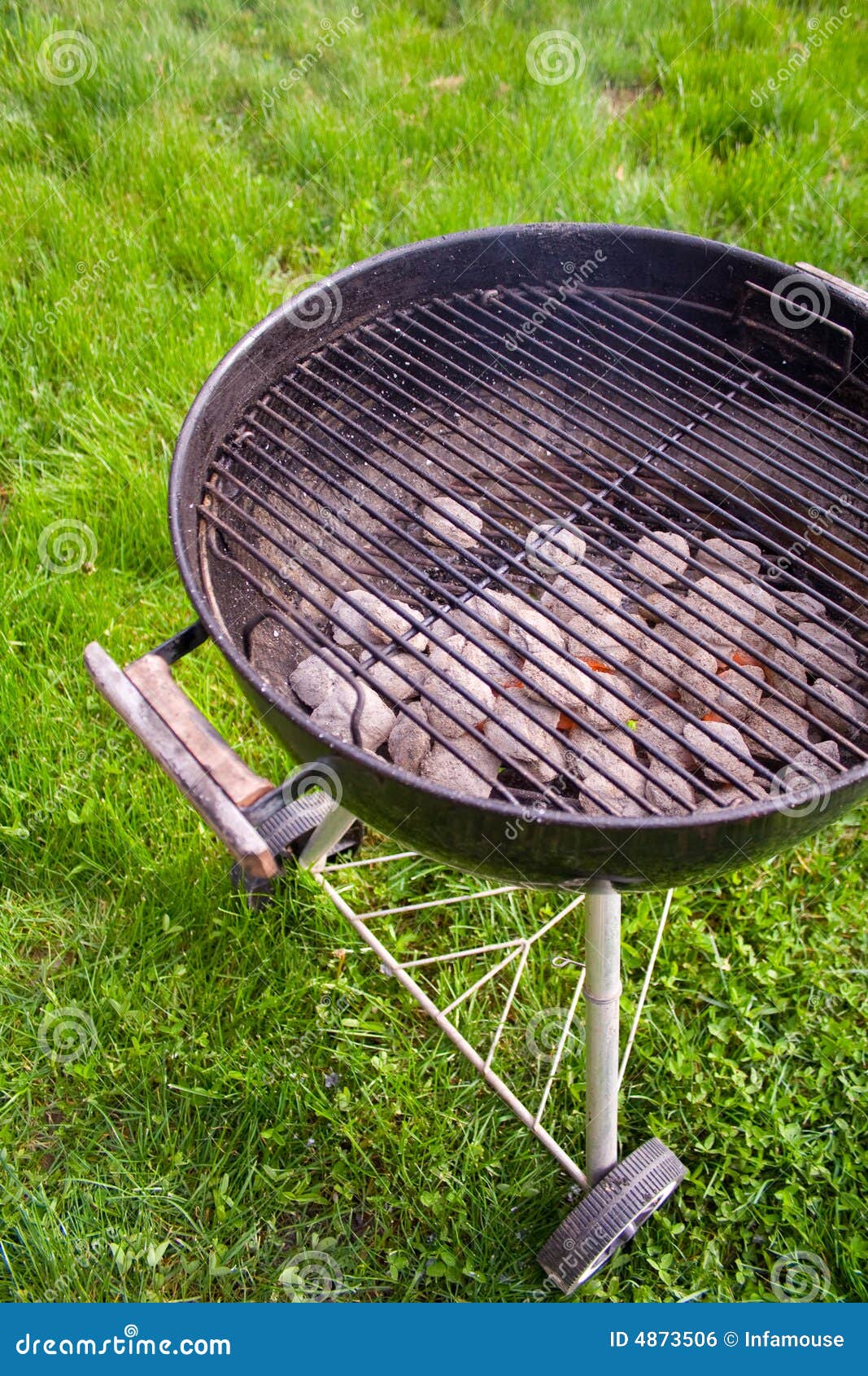 Barbecue on the Lawn stock photo. Image of grilling, cooking - 4873506