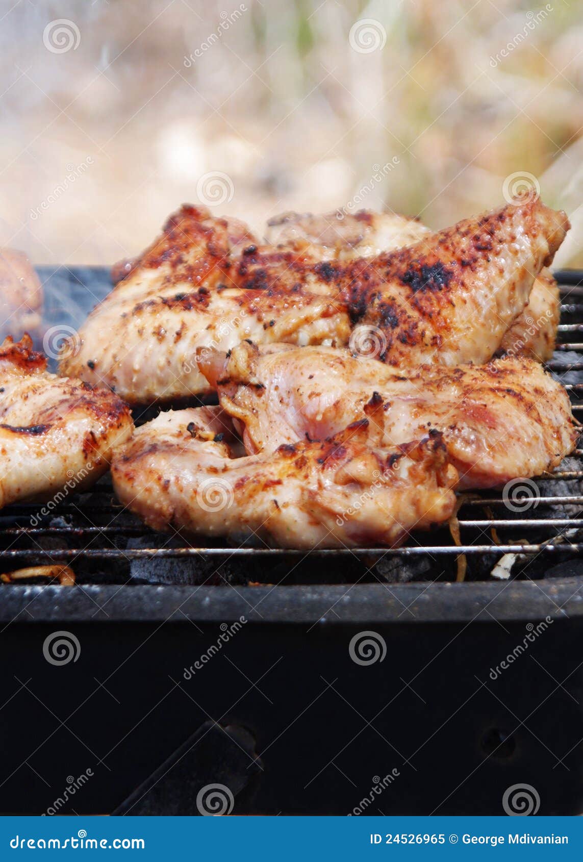 Barbecue meat stock image. Image of outdoor, bird, dinner - 24526965