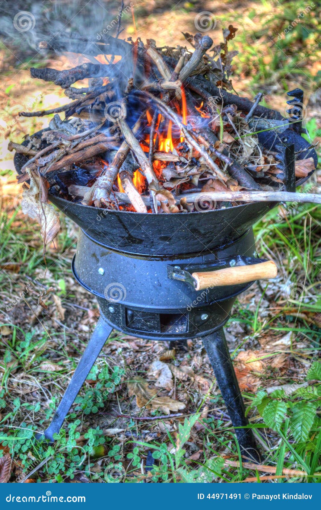 Barbecue in nature stock image. Image of green, grass - 44971491