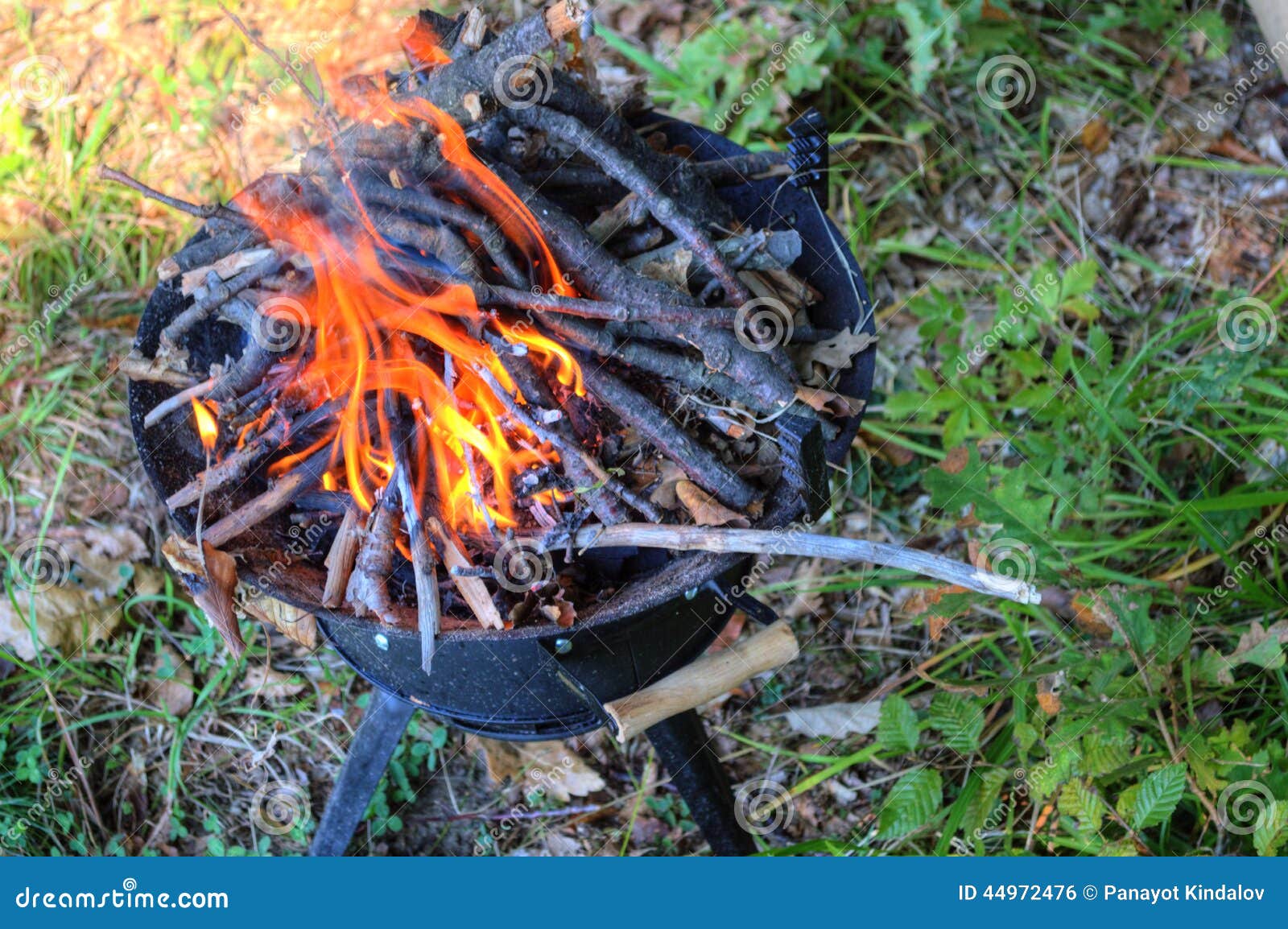 Barbecue in nature stock photo. Image of picnic, barbeque - 44972476
