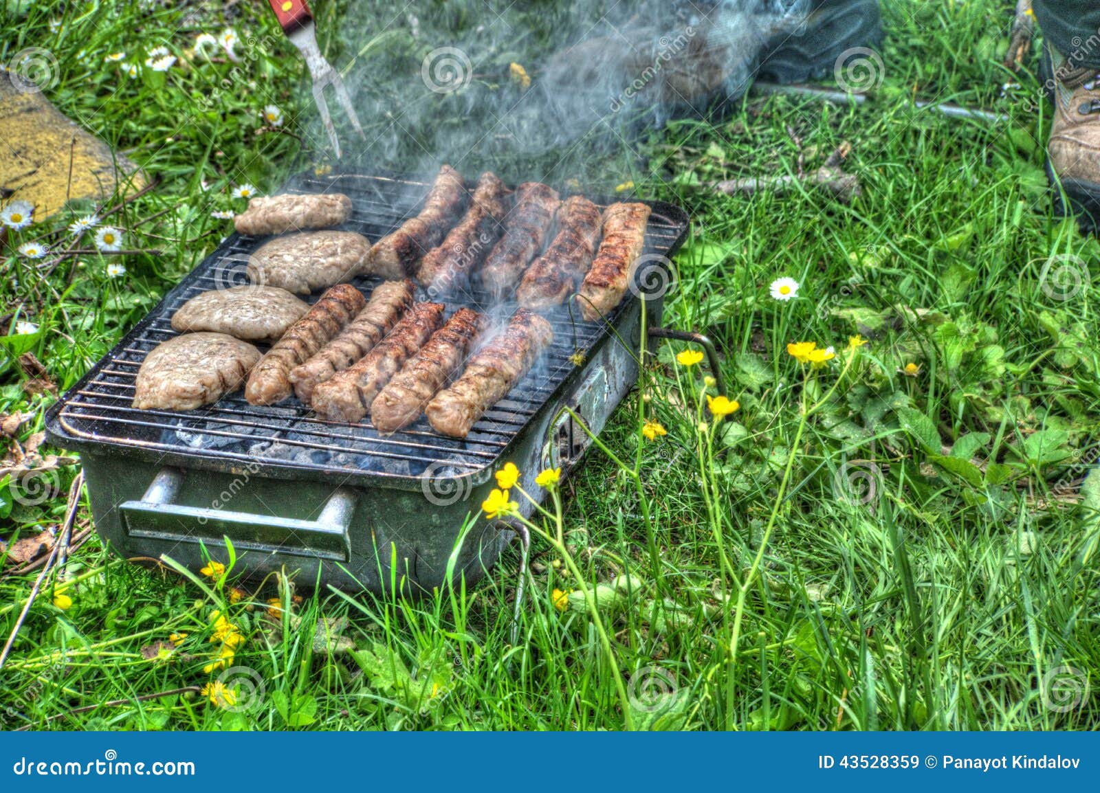 Barbecue in nature stock image. Image of green, barbeque - 43528359