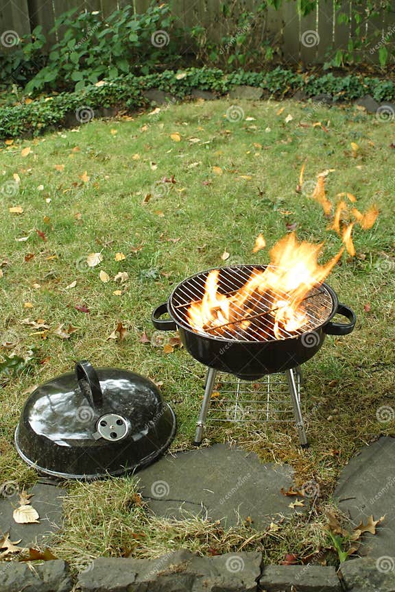 Barbecue portraits stock photo. Image of briquets, grass - 1314712