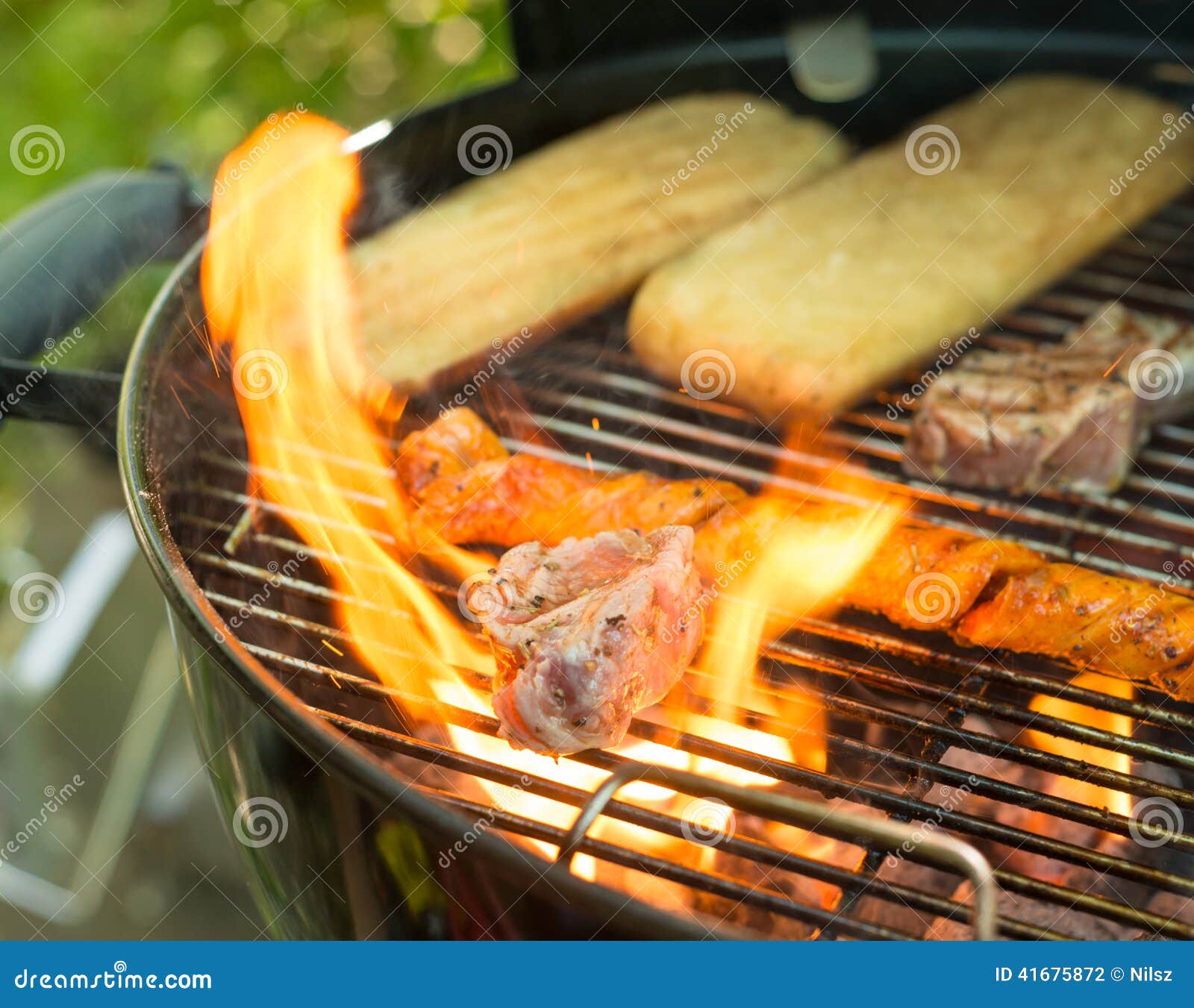 Barbecue Steak fire stock photo. Image of sausage, garden - 41675872