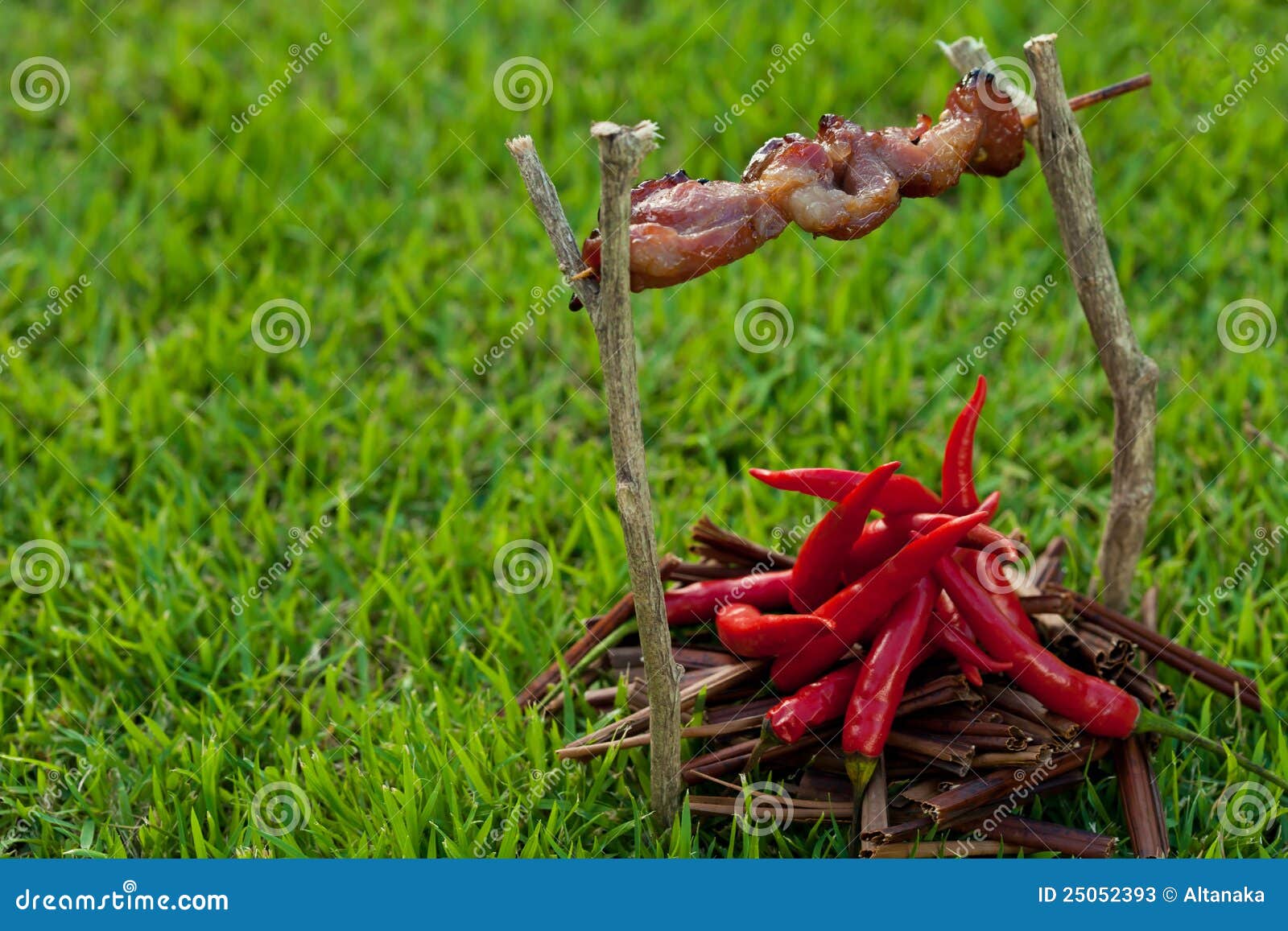 Barbecue on a Stick with Red Pepper, Depicting the Stock Image - Image ...