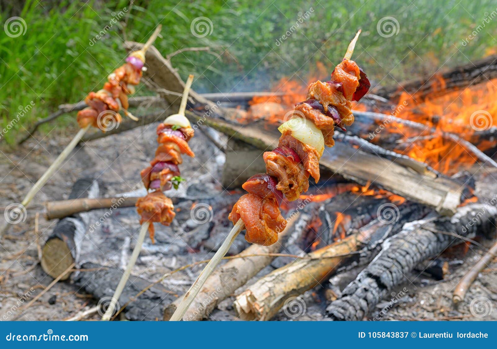 Barbecue Sticks Above the Campfire Stock Image - Image of sizzle ...
