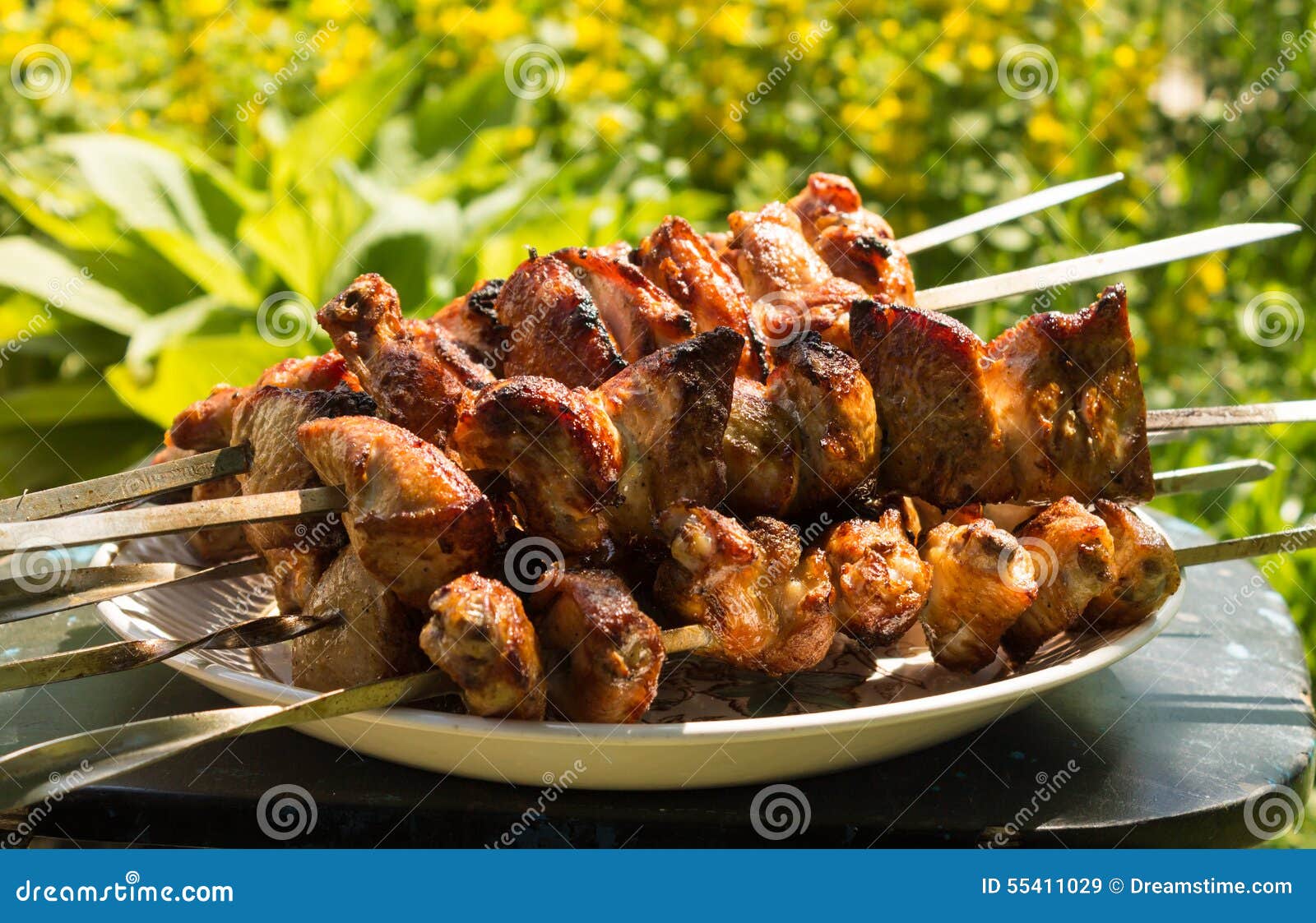 Barbecue stock image. Image of meat, nature, summer, turkey - 55411029