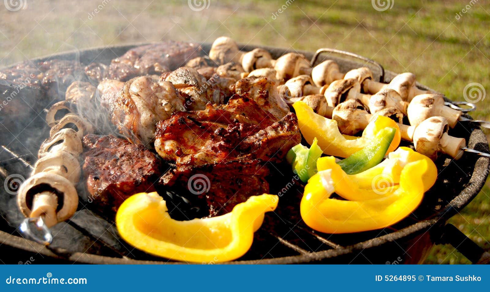 Barbecue time stock image. Image of green, pork, chicken - 5264895
