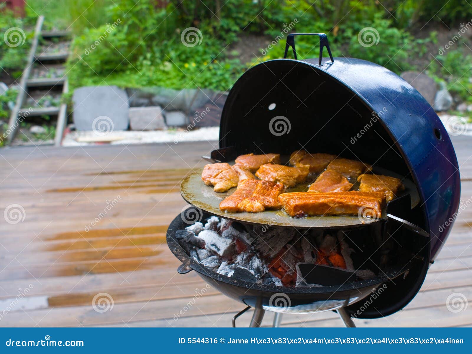 Barbecue time stock photo. Image of green, lunch, formal - 5544316