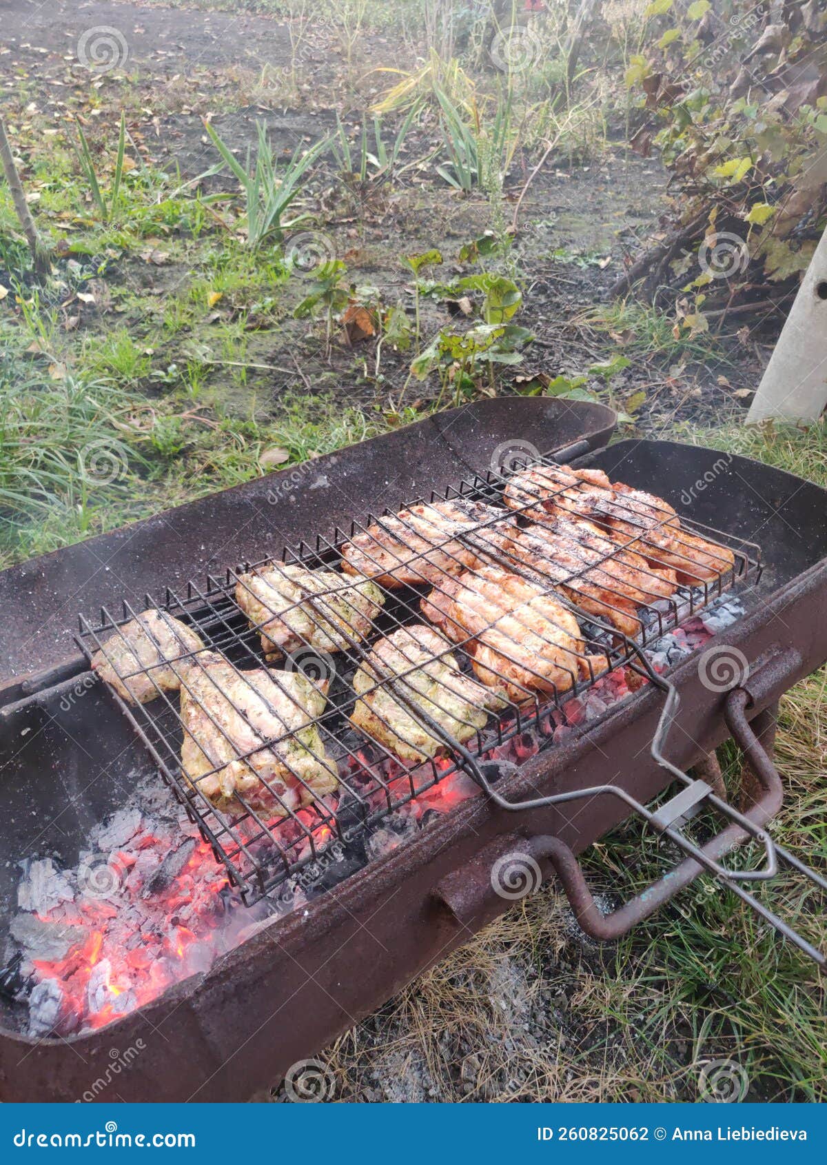 Barbecue time stock photo. Image of barbecue, meat, fire - 260825062