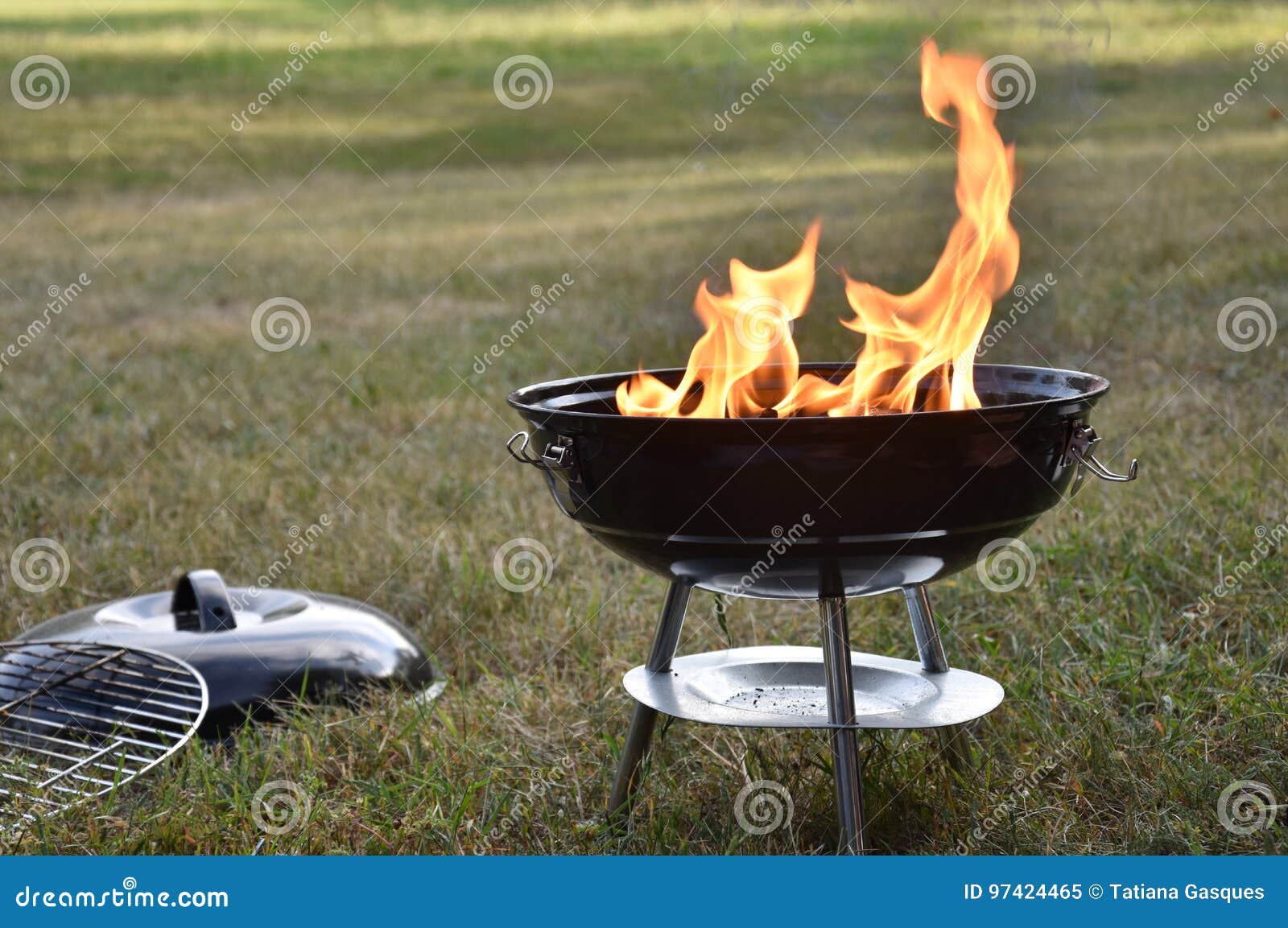 Barbecue Time during Summer Stock Image - Image of tranquil, europe ...