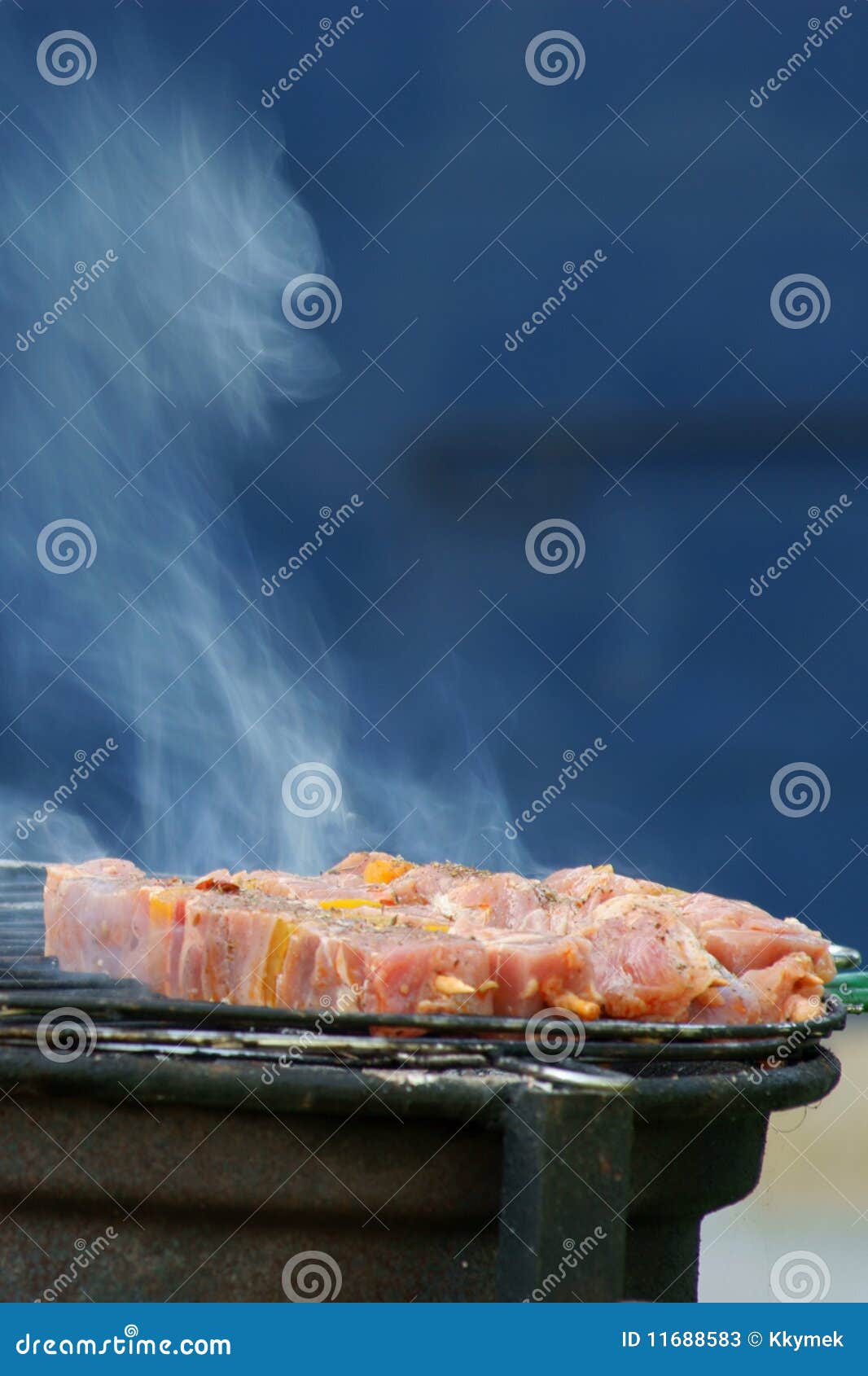 Barbecue view stock image. Image of nutrition, charcoal - 11688583
