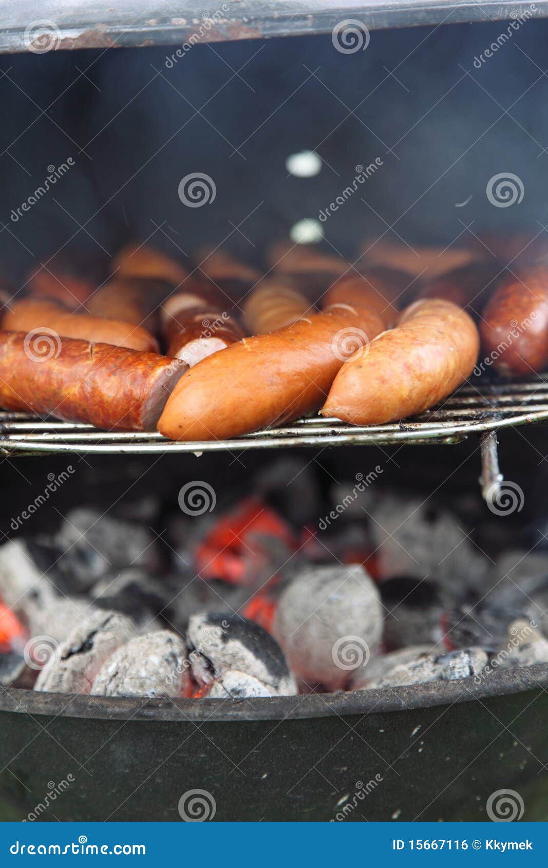 Barbecue view stock photo. Image of roast, sausage, grill - 15667116