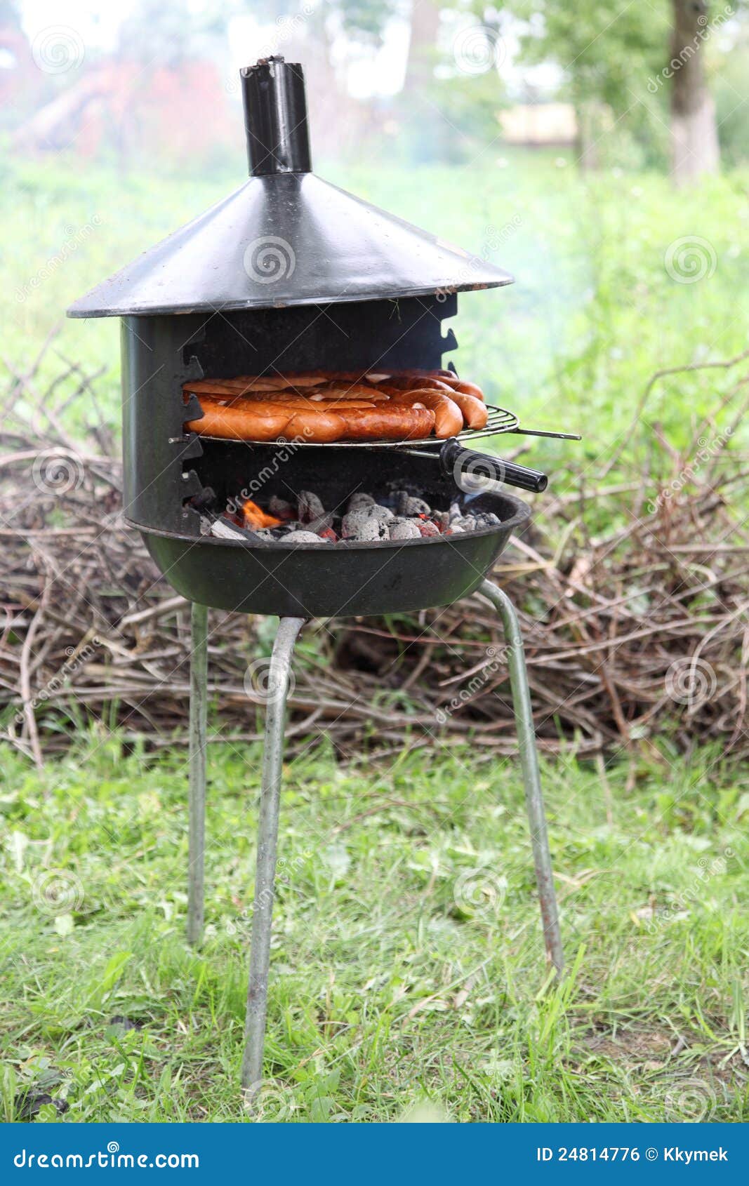 Barbecue view stock photo. Image of yummy, barbecue, roast - 24814776