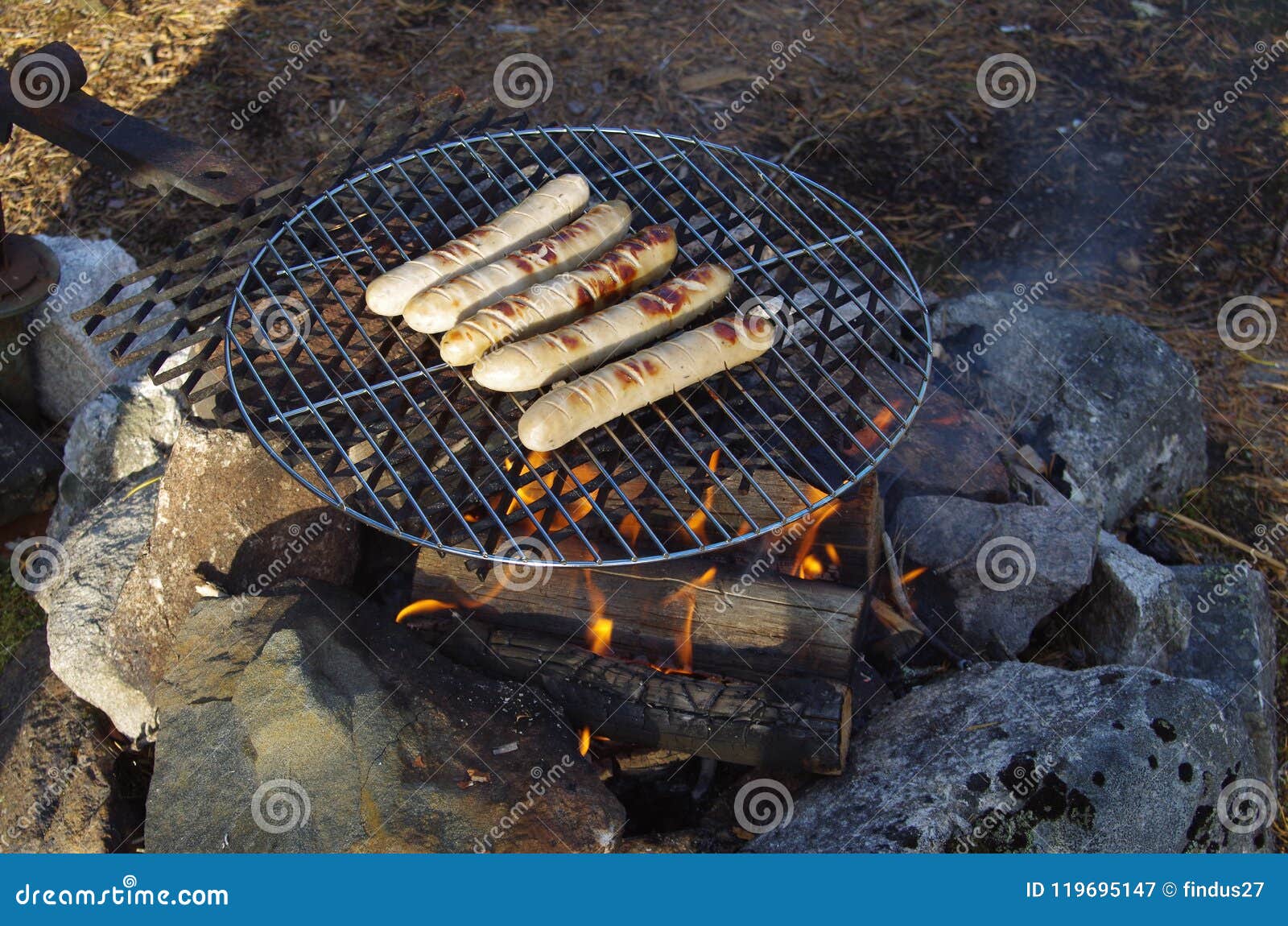 Barbecue on a Warm Summer Day Stock Image - Image of fire, grill: 119695147