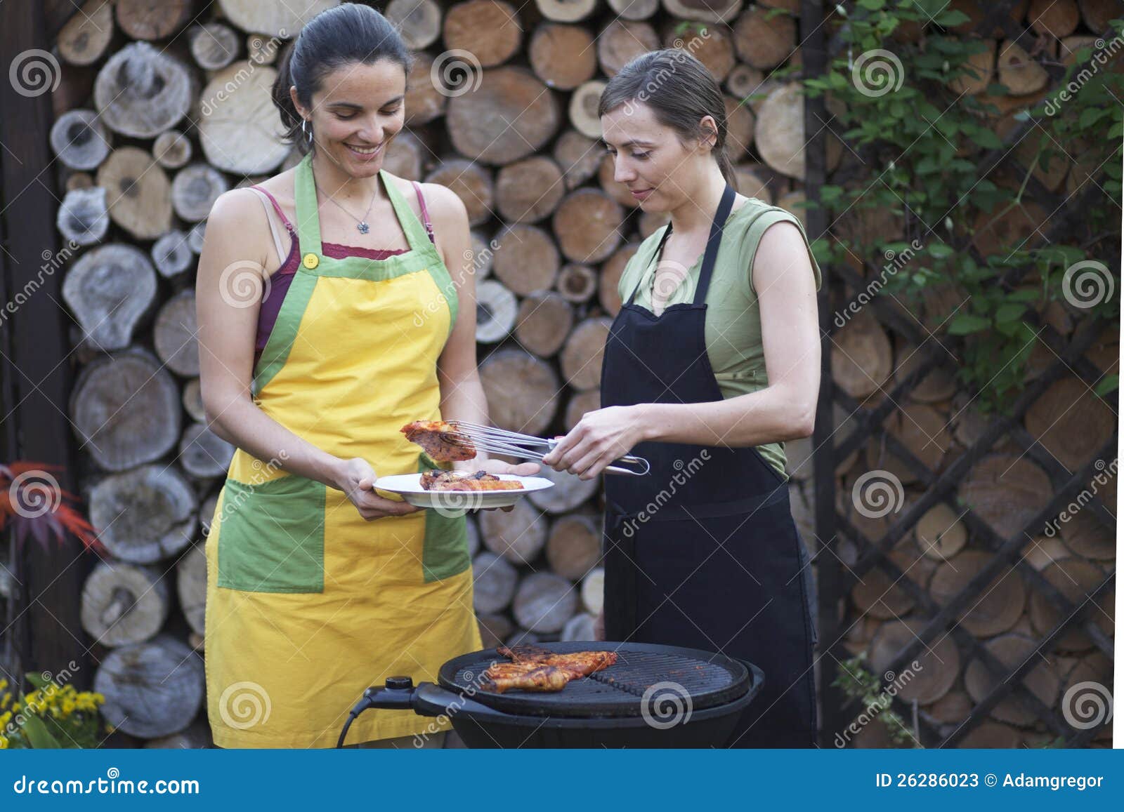 Barbecue woman stock image. Image of people, fine, nature - 26286023