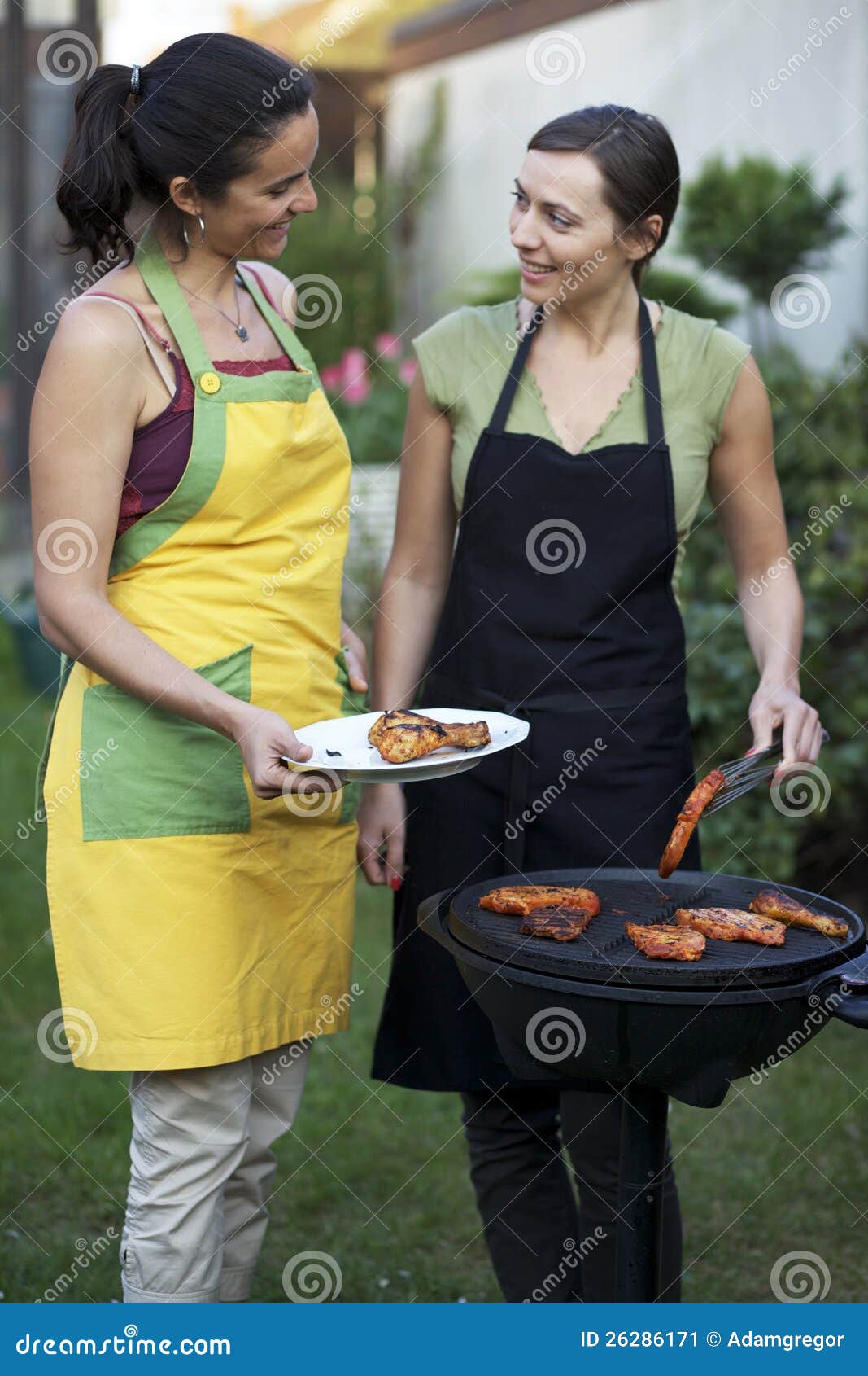 Barbecue woman stock image. Image of fine, party, garden - 26286171