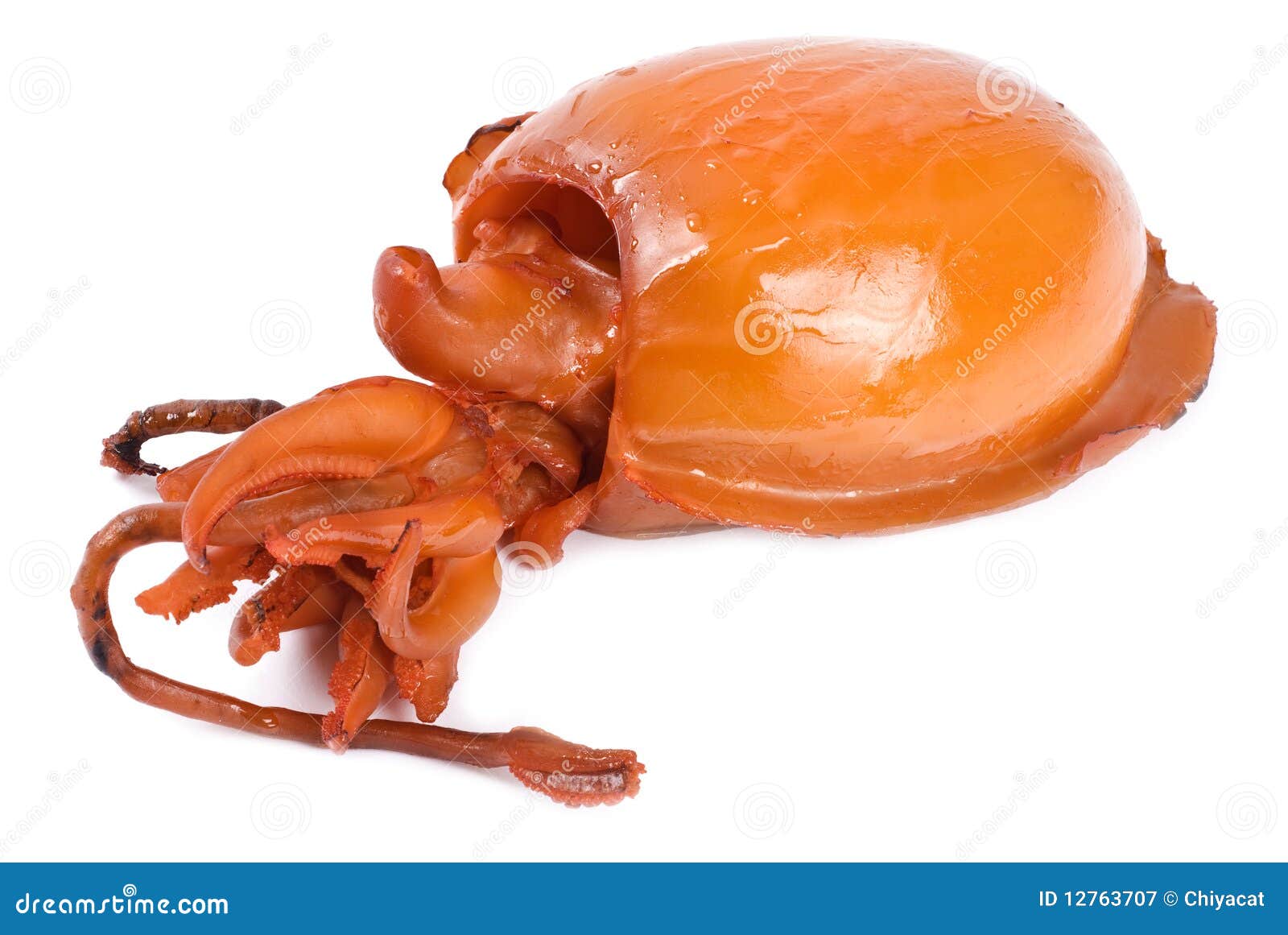 Barbecued Cuttlefish stock image. Image of prepared, cooked - 12763707