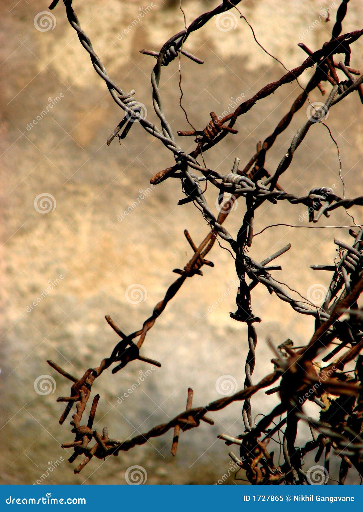 BARBED! stock image. Image of wall, closeup, forest, alone - 1727865