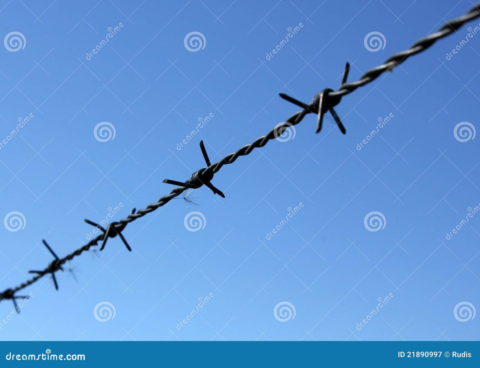 Barbed stock image. Image of fencing, agriculture, wire - 21890997