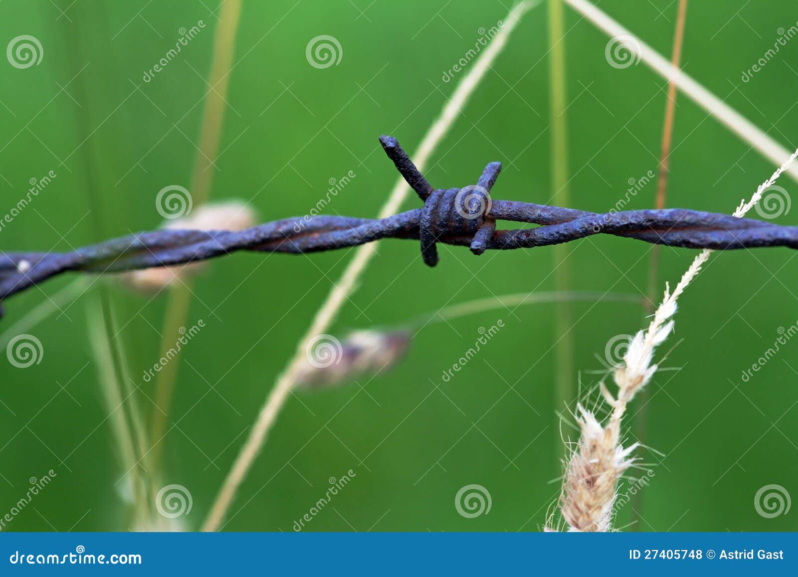 The barbed stock photo. Image of metal, characteristic - 27405748