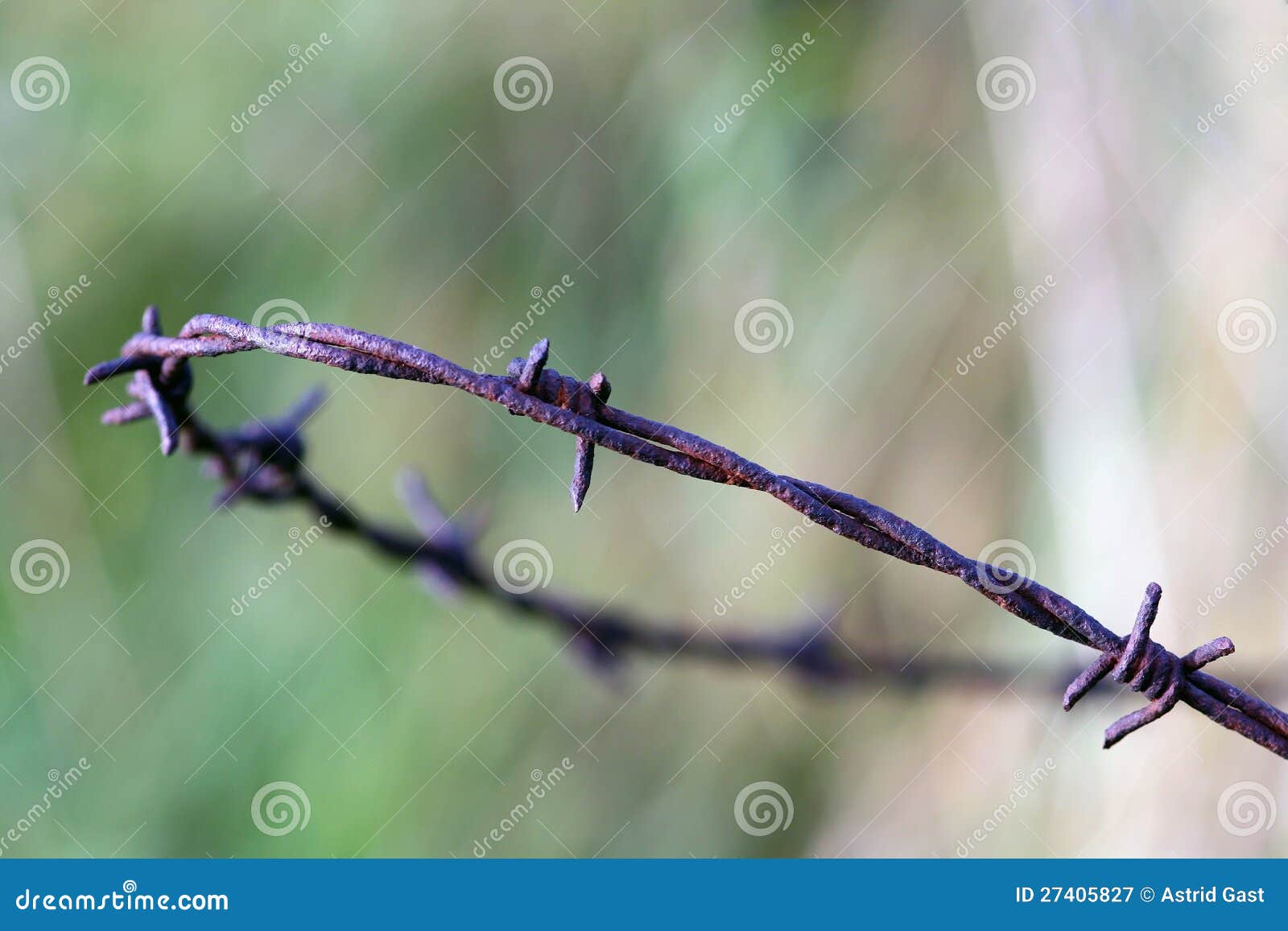 The barbed stock image. Image of security, fence, point - 27405827