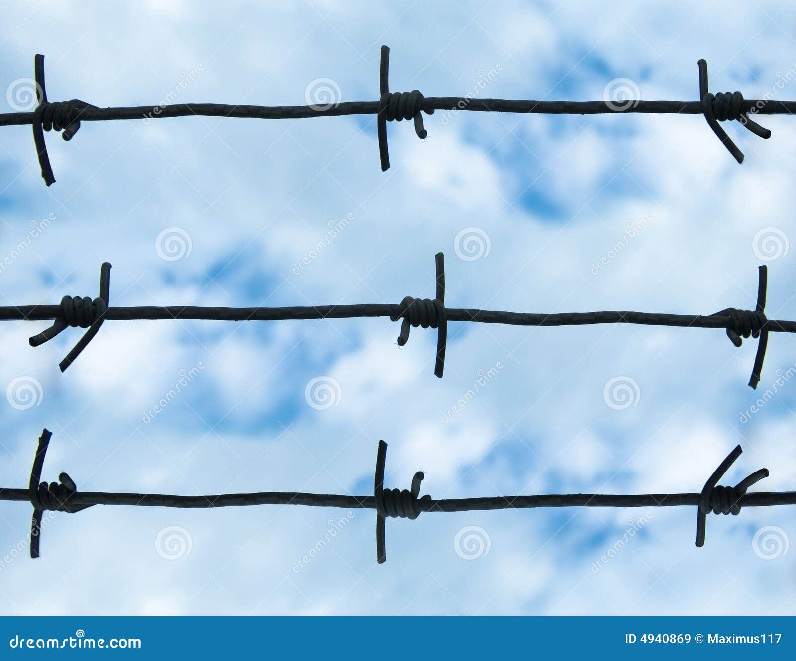 Barbed Picture. Image: 4940869