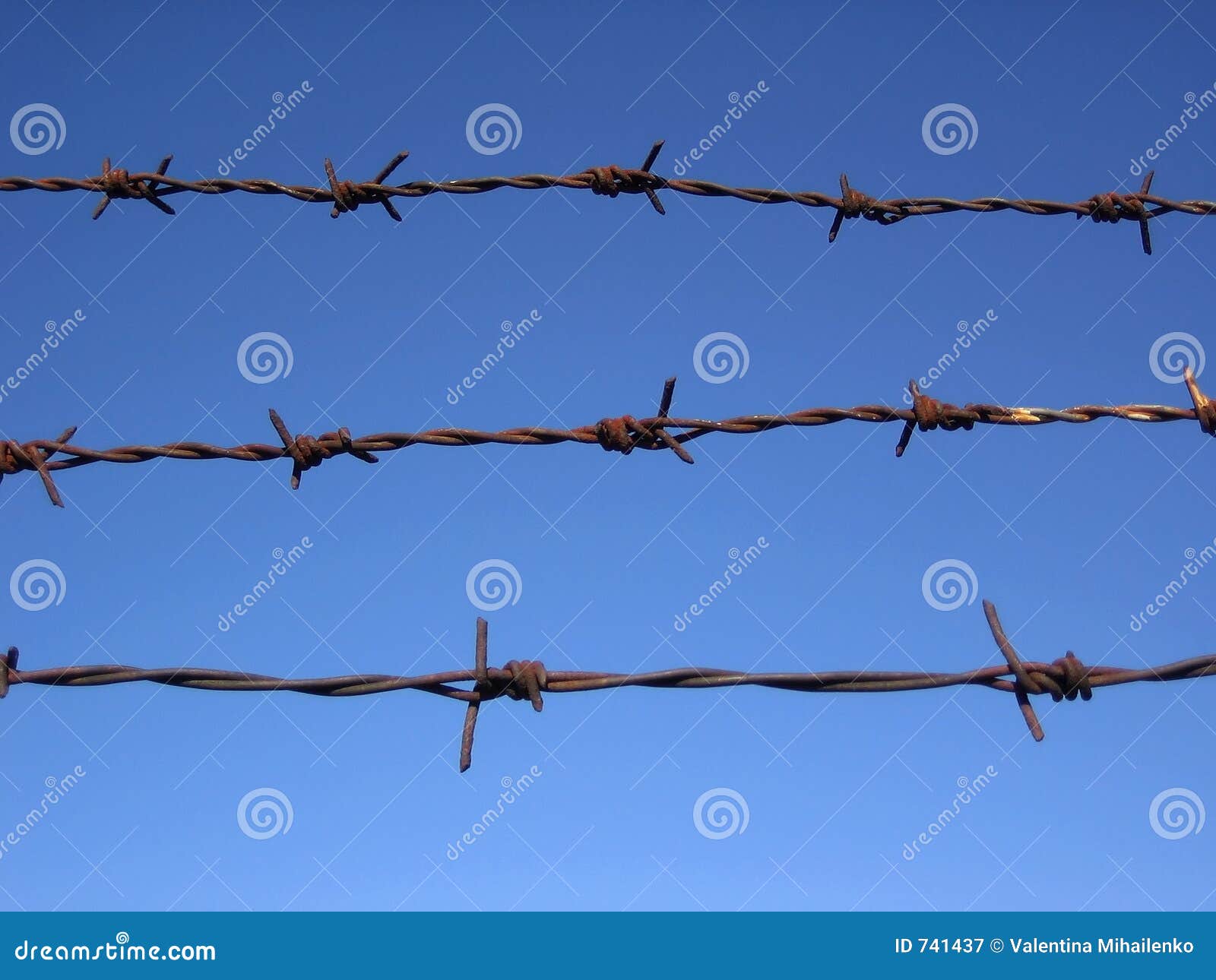 Barbed Fence Stock Photography | CartoonDealer.com #24340100