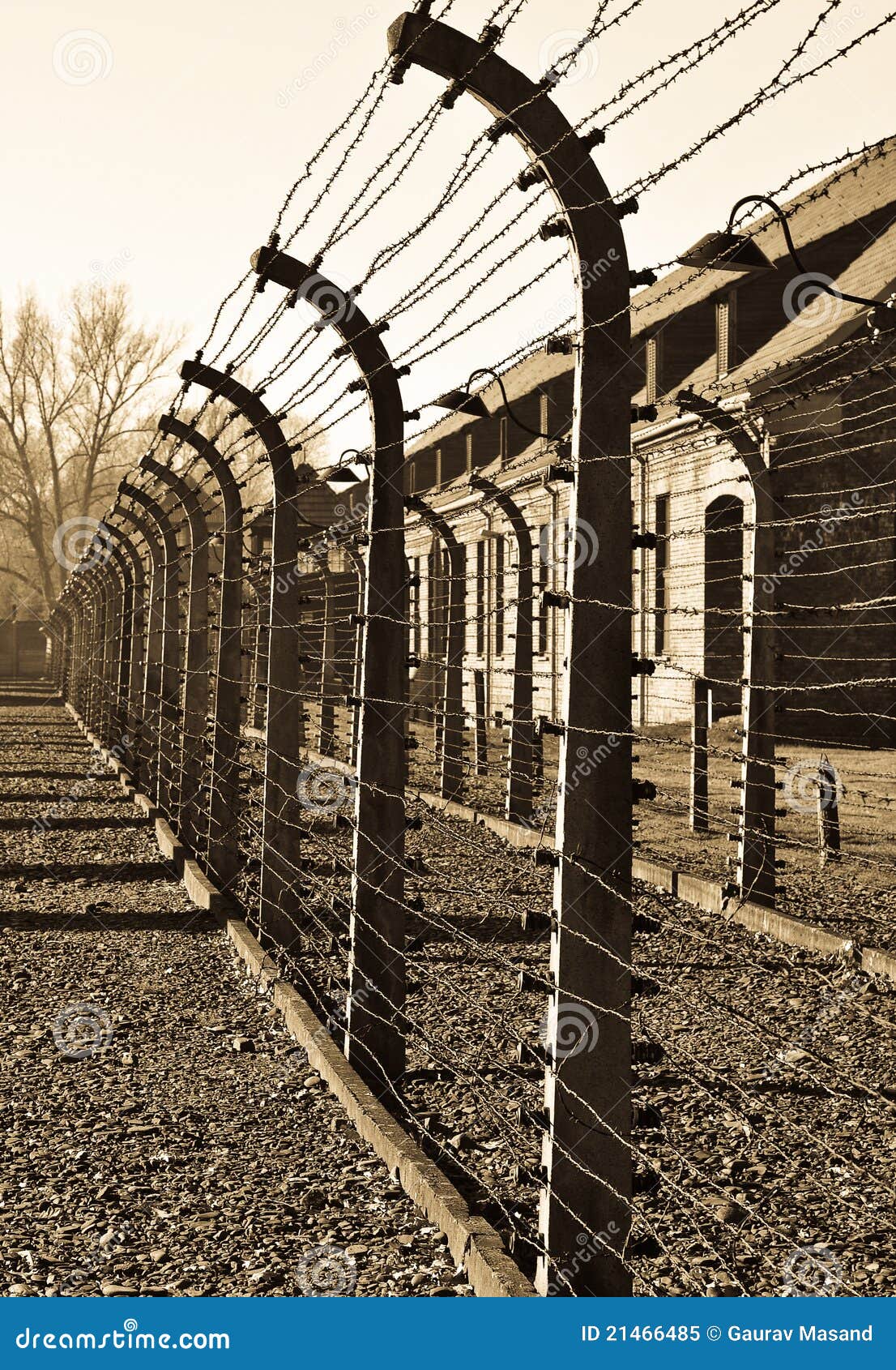 Barbed Fence from Auschwitz Camp Editorial Image - Image of auschwitz ...