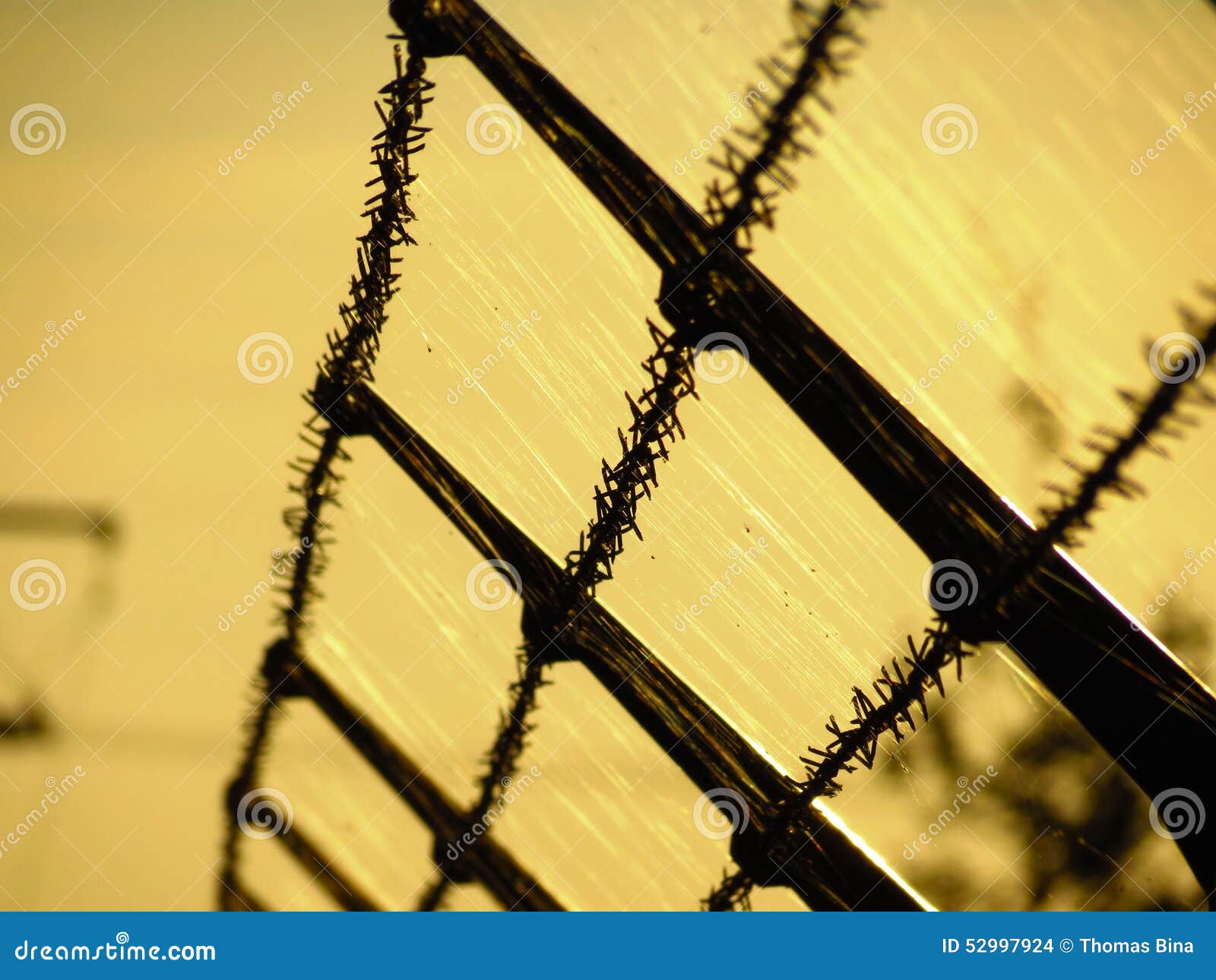 Barbed Fence, Cobweb in Autumn Sunset Stock Photo - Image of protection ...