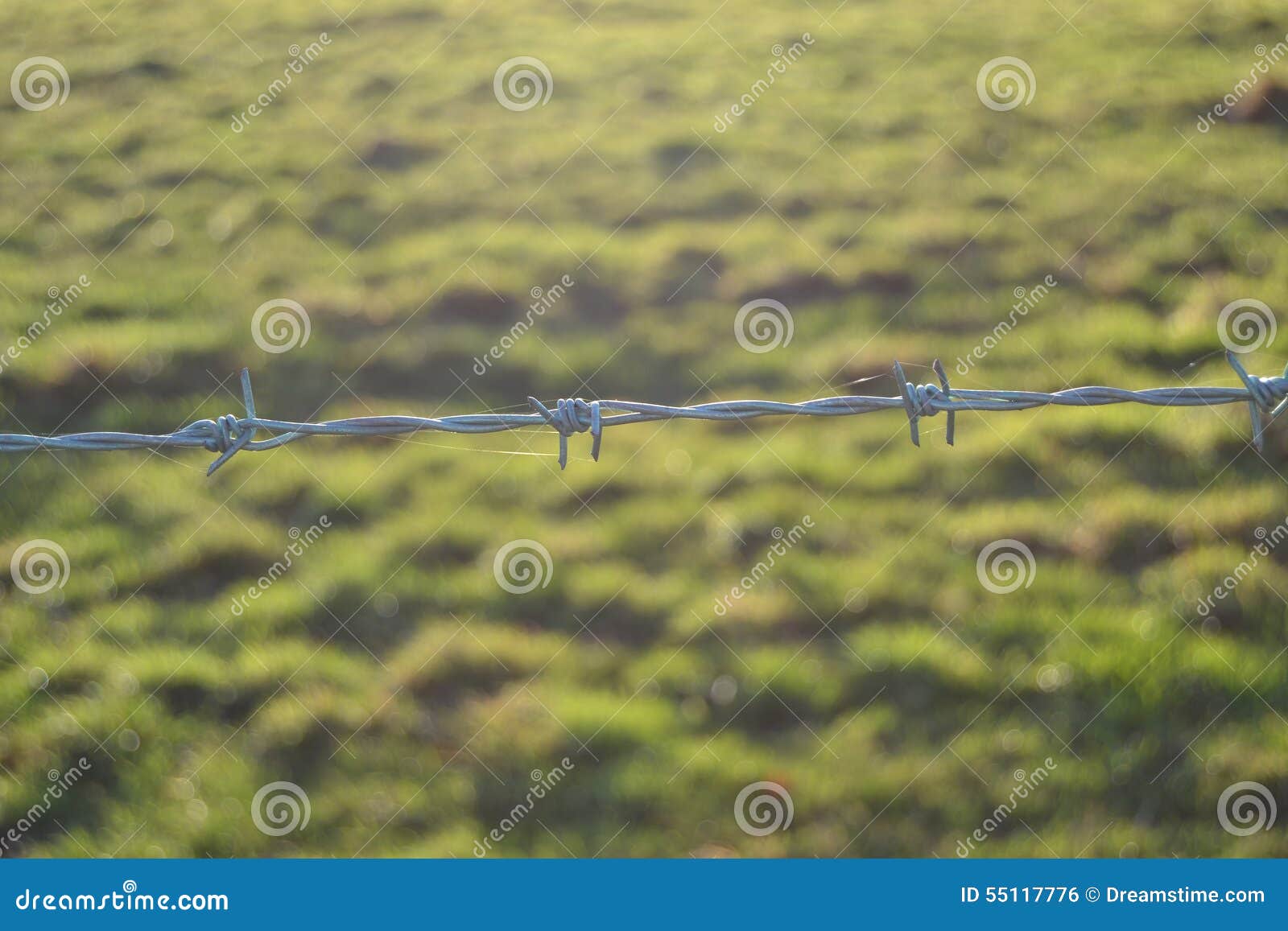 Barbed field stock photo. Image of wire, single, photograph - 55117776