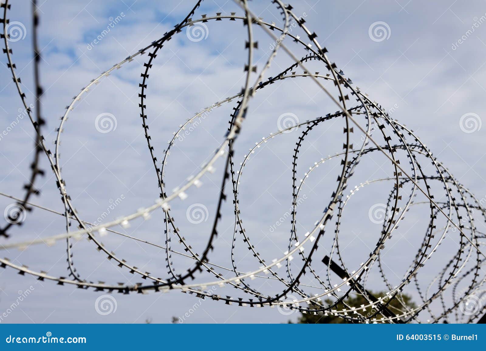 Barbed & Razor Wire Security Protection On Fence Stock Image ...