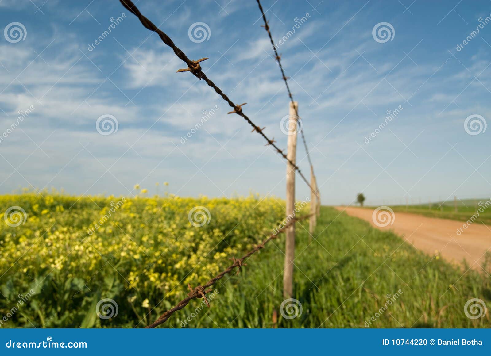 Barbed wire stock photo. Image of living, farm, traveling - 10744220