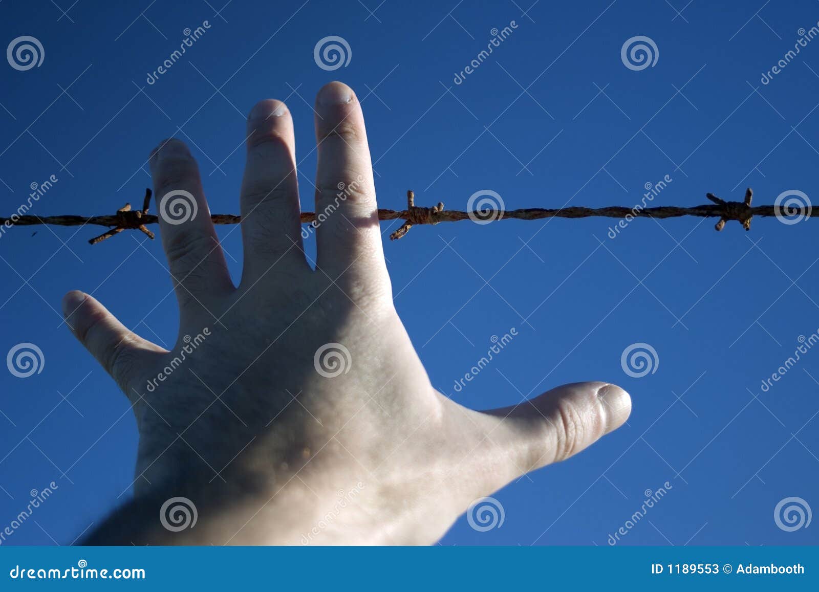 Barbed Wire stock image. Image of grab, blue, babrbed - 1189553